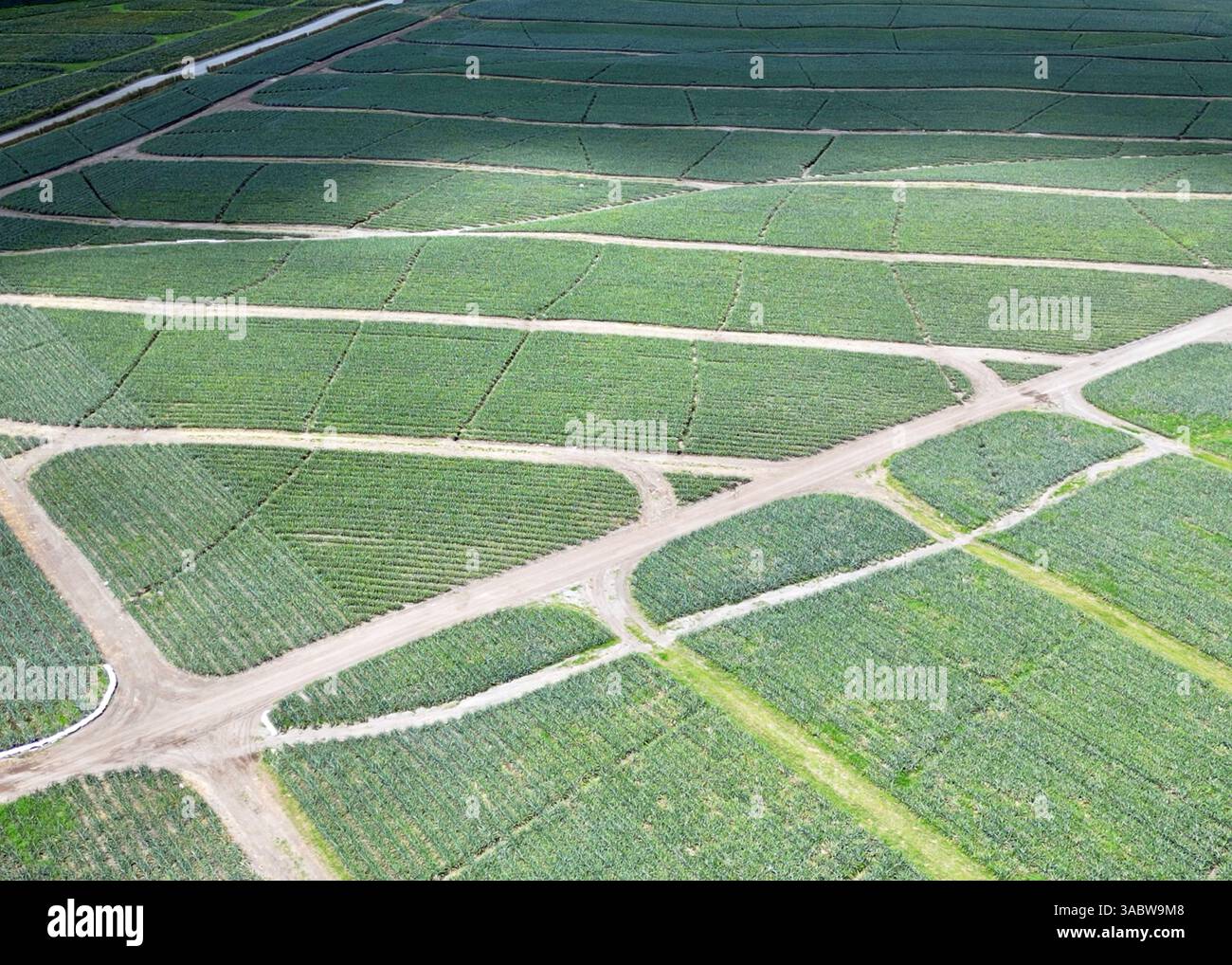 Aerial view of some Pineapple fields near Polomolok in Philippines ...