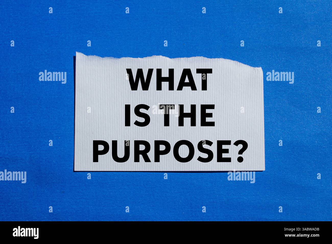 What is the purpose message written on ripped torn white paper piece on ...