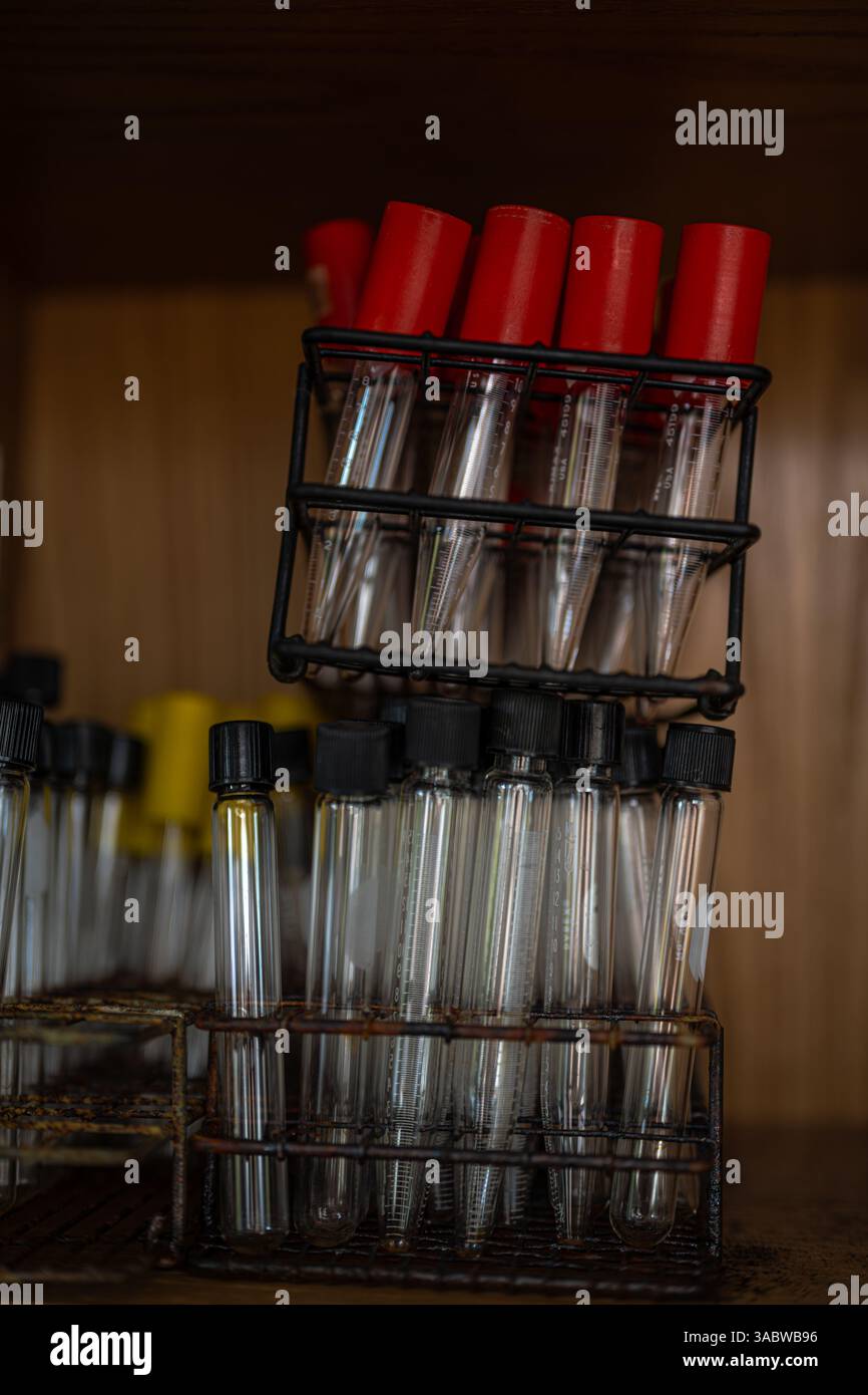 Culture tubes hi-res stock photography and images - Alamy