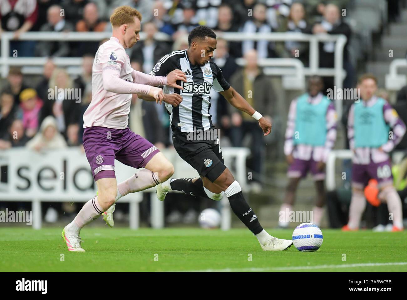 Newcastle United's Joe Willock get a shot at goal before Brentford FC ...