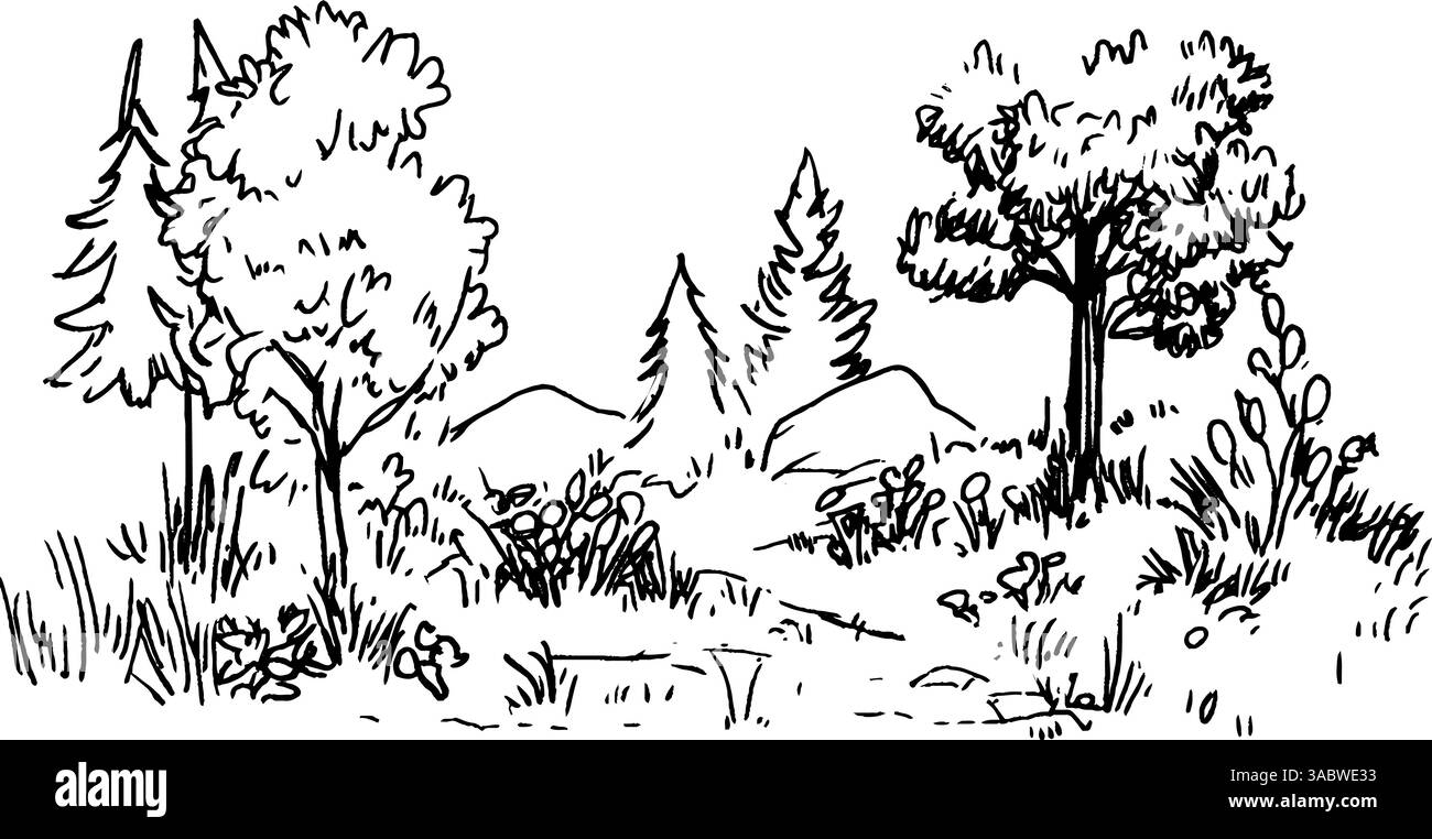 Serene Hand-Drawn Landscape Illustration Stock Vector Image & Art - Alamy