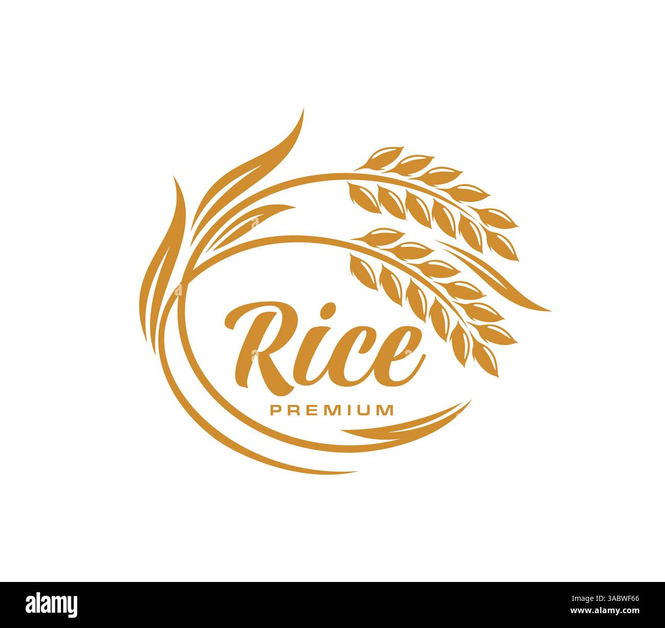 Ear paddy Stock Vector Images - Alamy