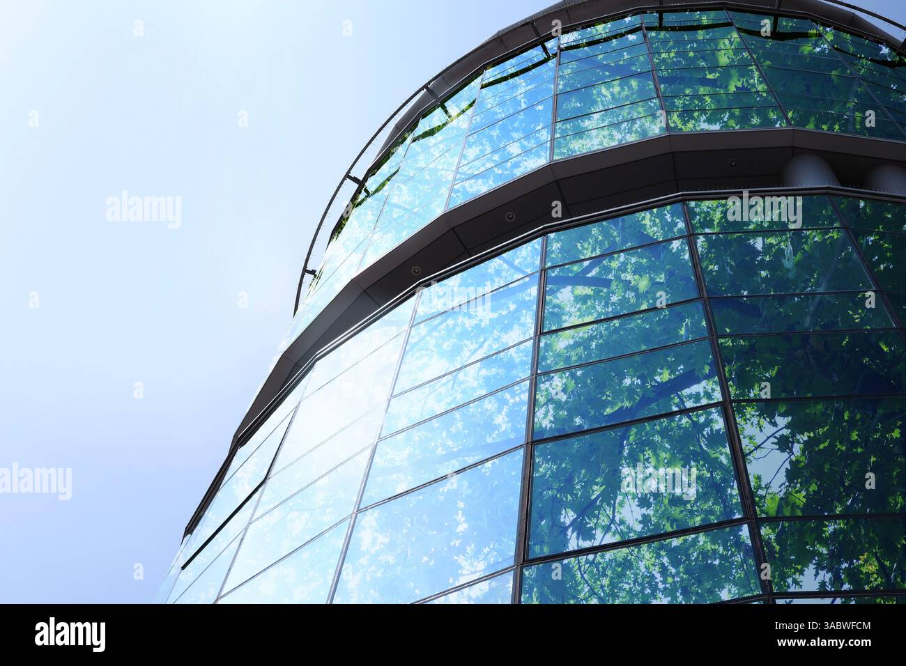 Modern skyscraper and lush tree against blue sky, double exposure. Low ...