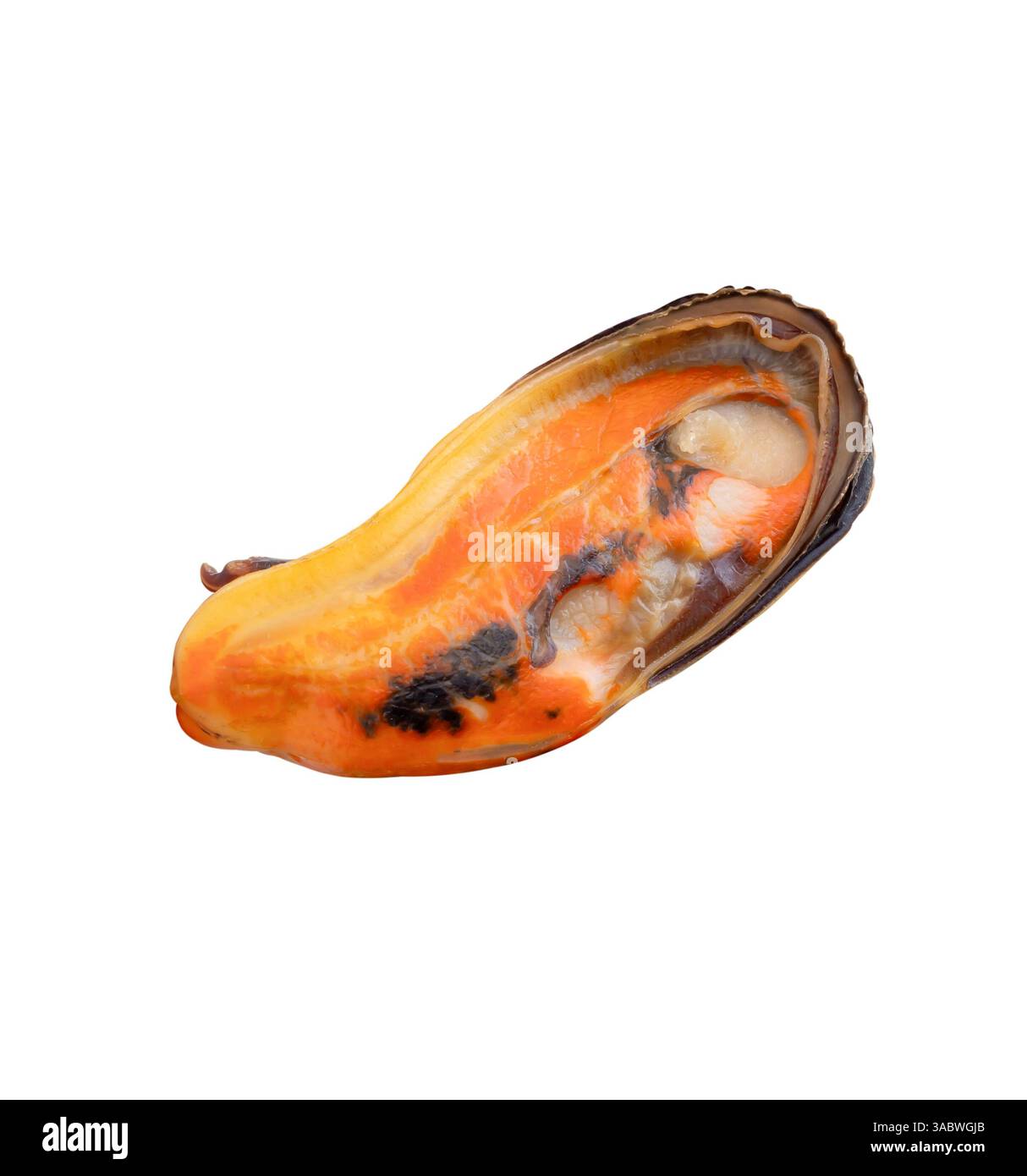 Side view of one cooked green mussels in red meat without shell is ...