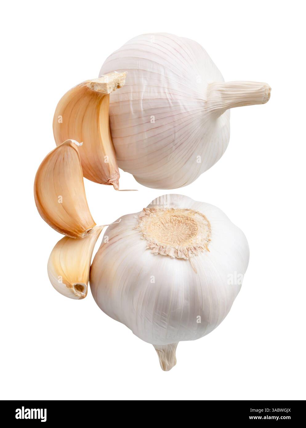 Side view of two garlic bulbs and three unpeeled garlic cloves or ...