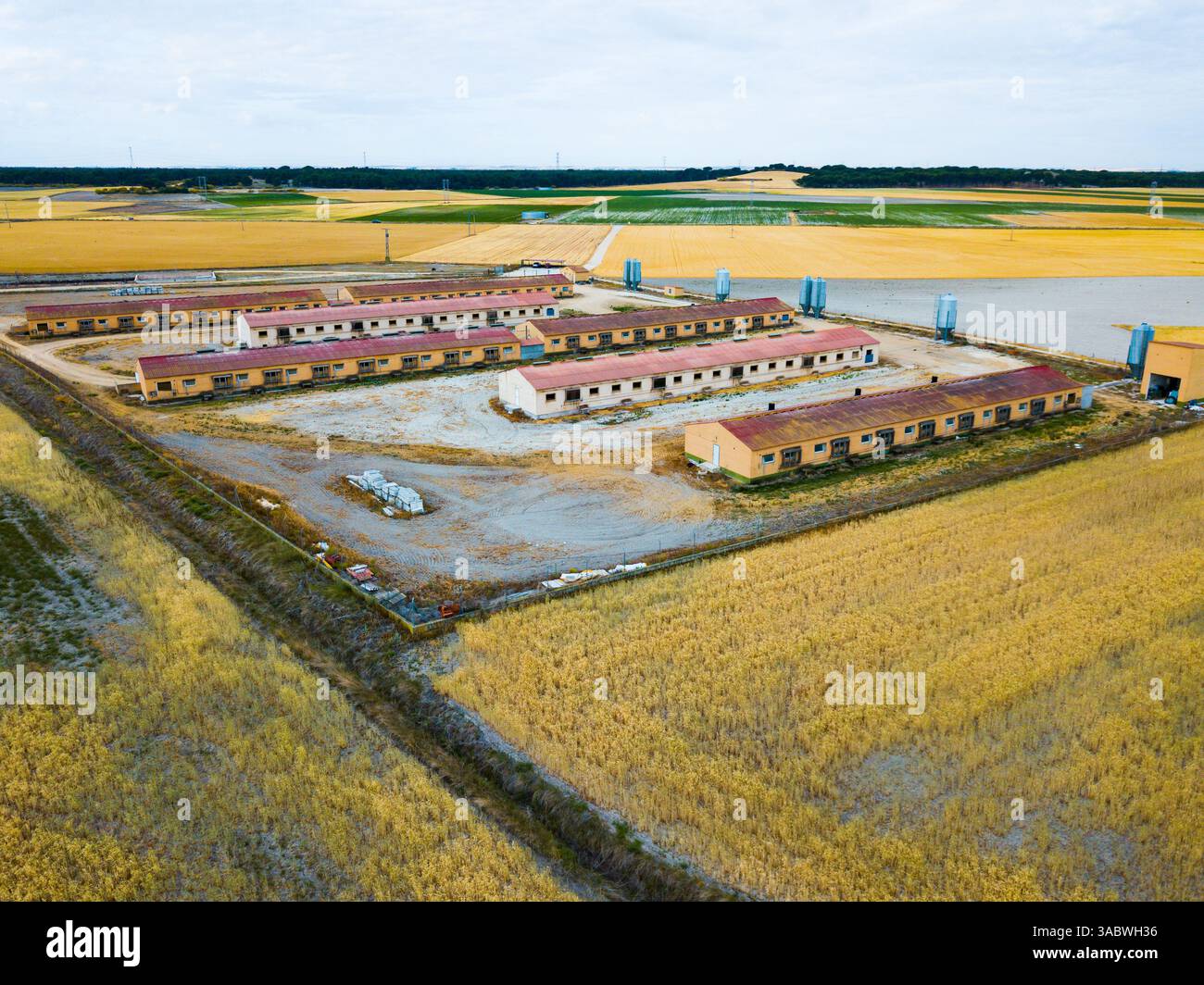 Aerial view of modern pig farm Stock Photo - Alamy
