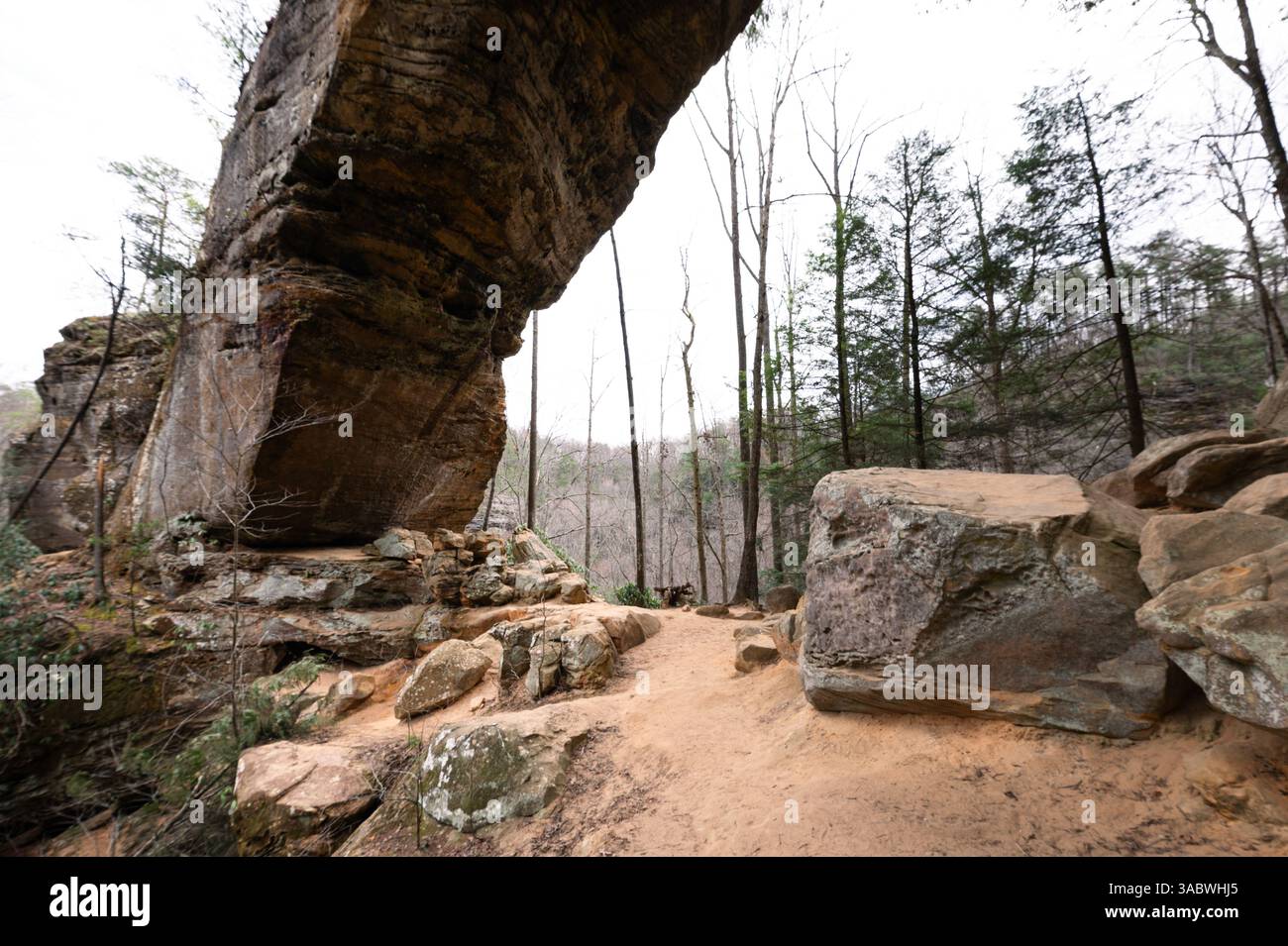 View of Grays Arch from underneath in Kentucky's Red River Gorge Stock ...