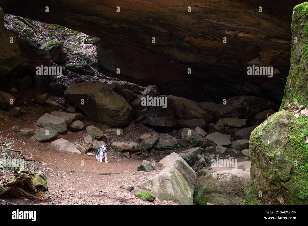 Whittleton arch hi-res stock photography and images - Alamy