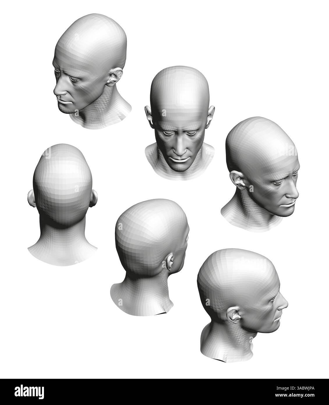 A series of head are shown in a row. The faces are all the same, but ...