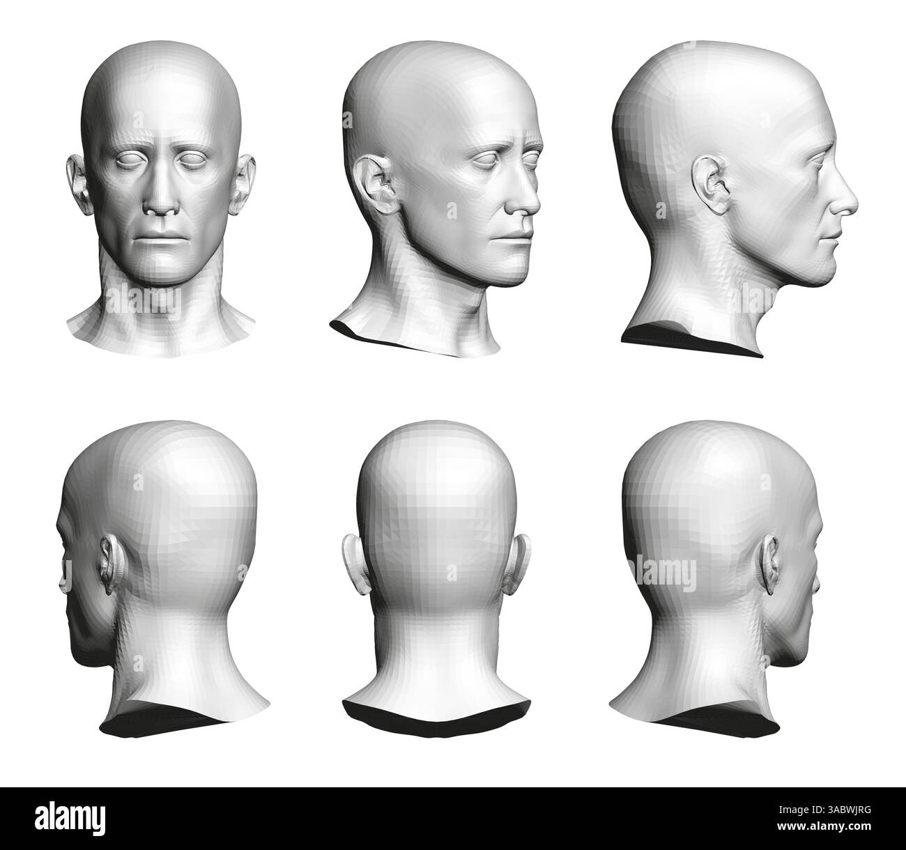 The image is a series of six different headshots of a man's head. The ...