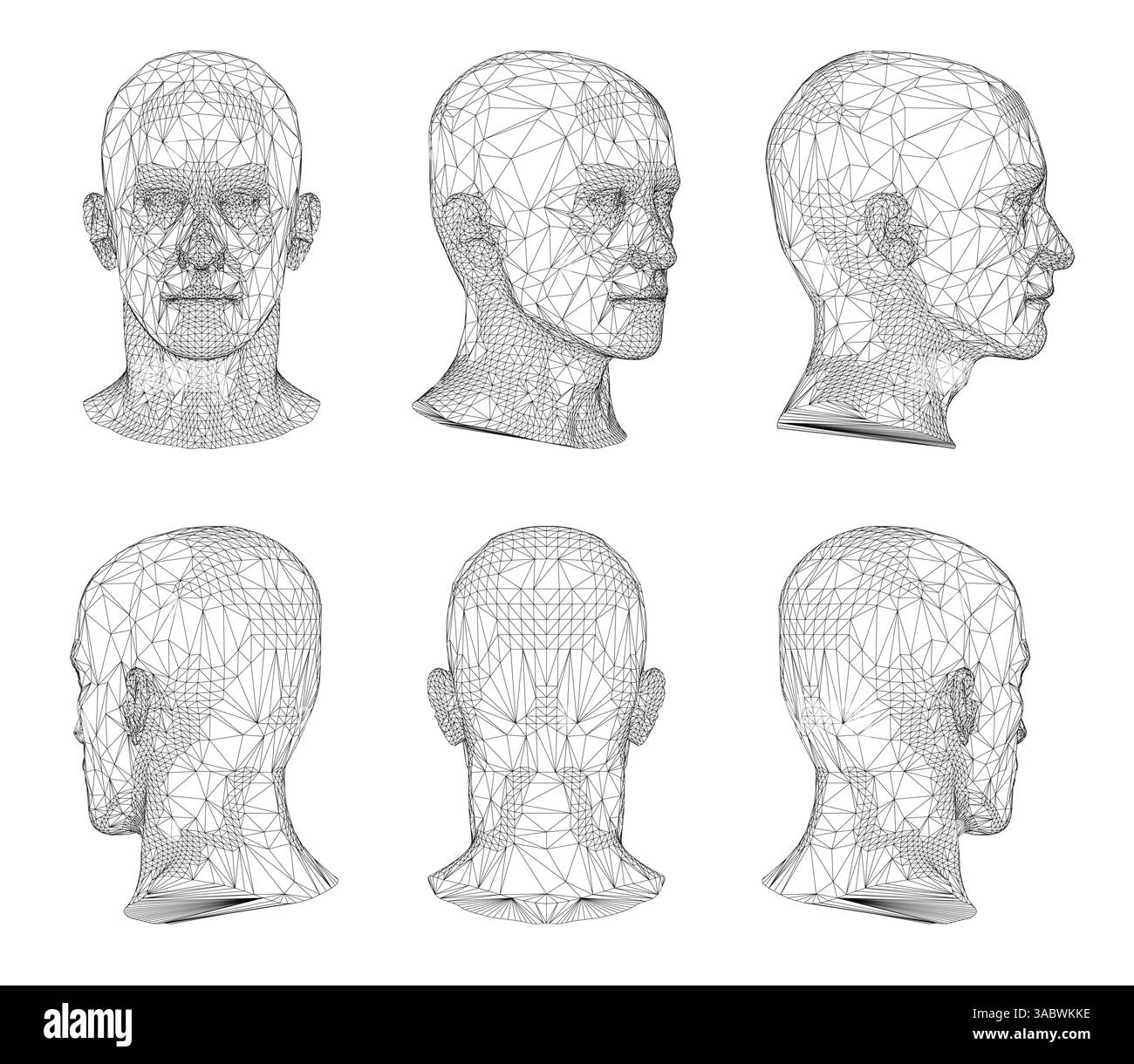 Intricate anatomy Cut Out Stock Images & Pictures - Alamy