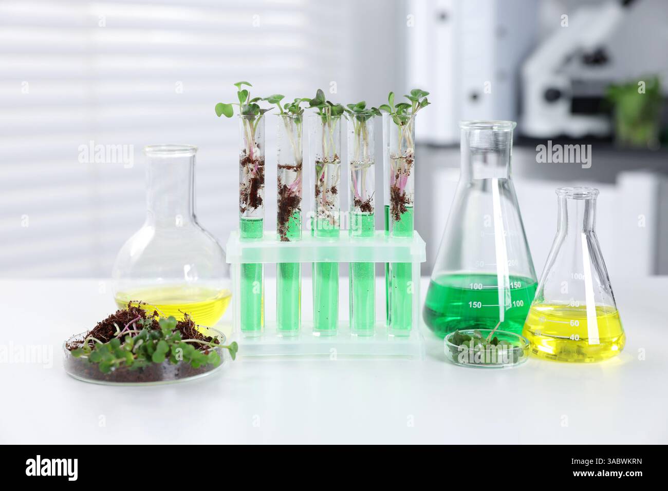 Biochemistry. Glassware with liquids and plants on white table in ...