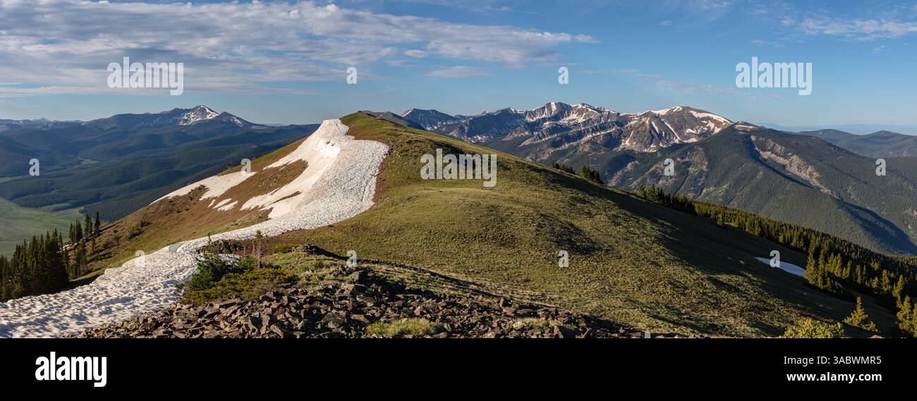 12er park cone hi-res stock photography and images - Alamy