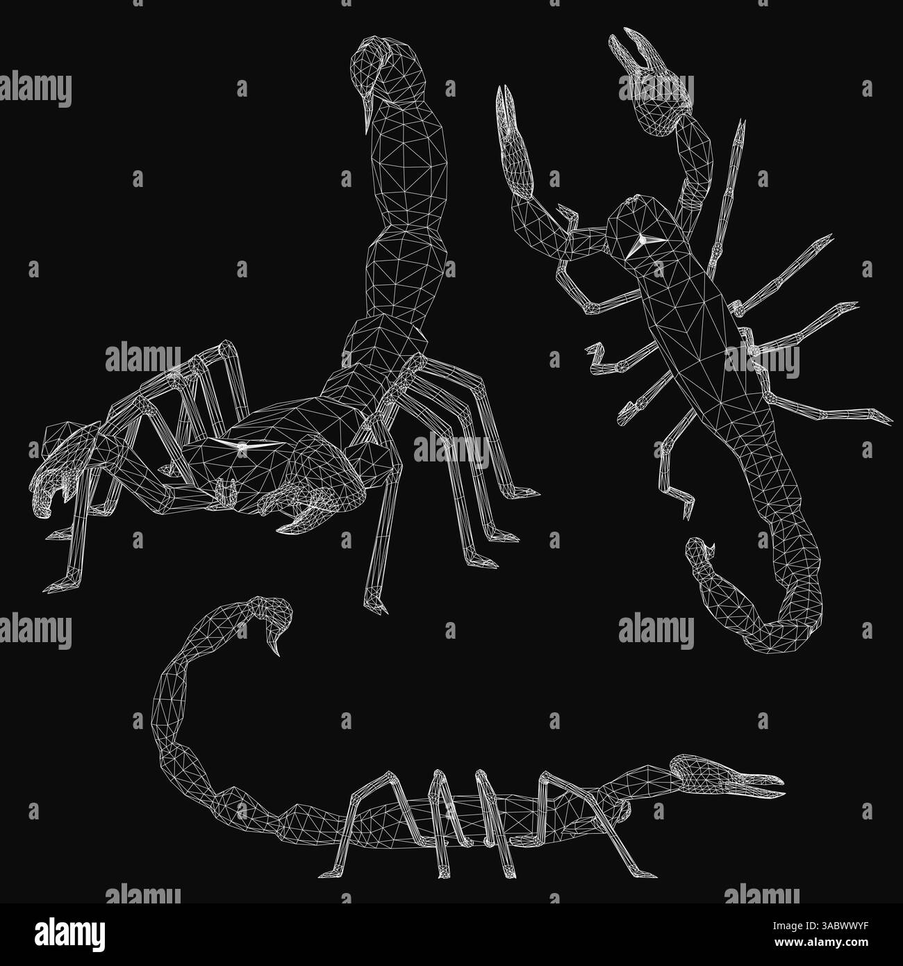 Three black and white drawings of scorpions. The first one is a close ...
