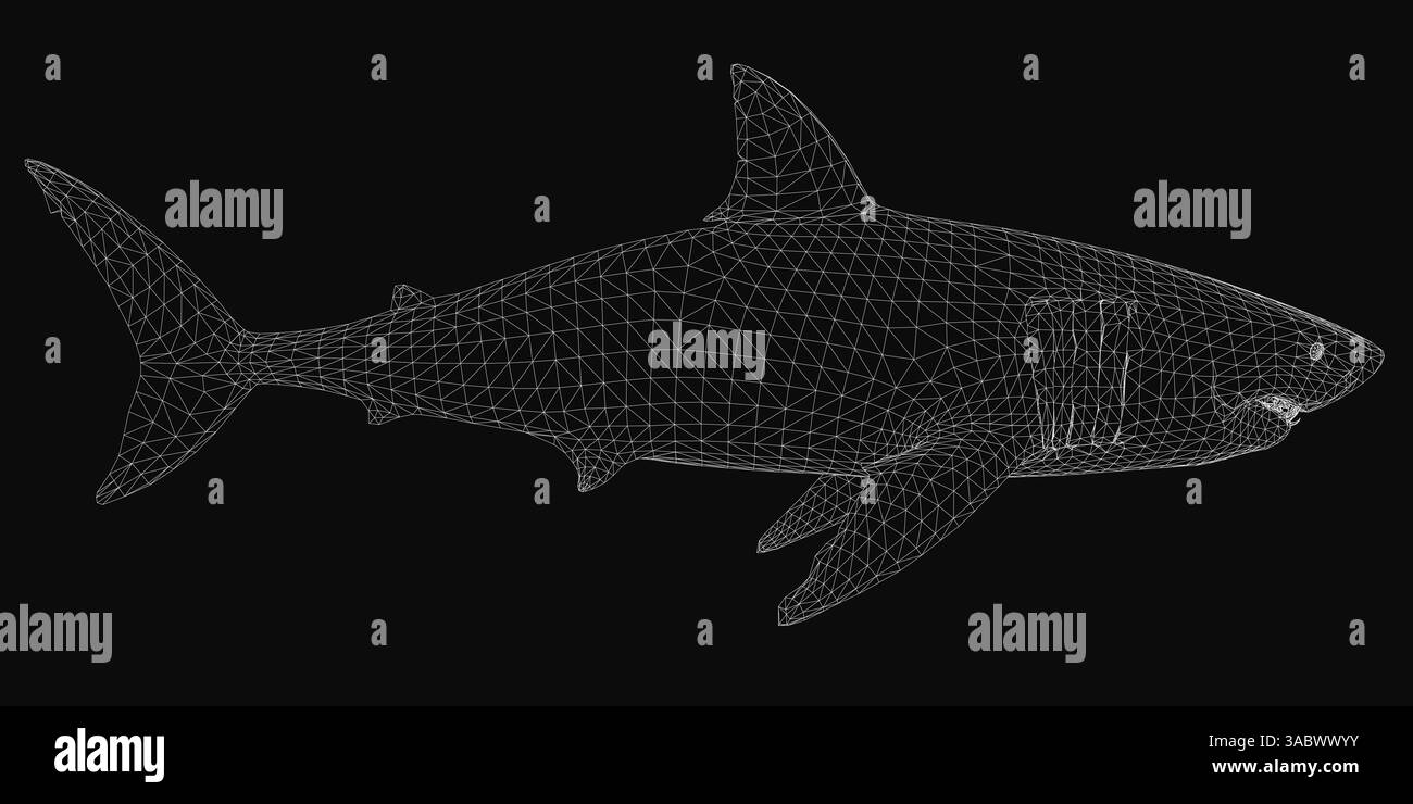 A black and white image of a shark. The shark is shown in a very ...