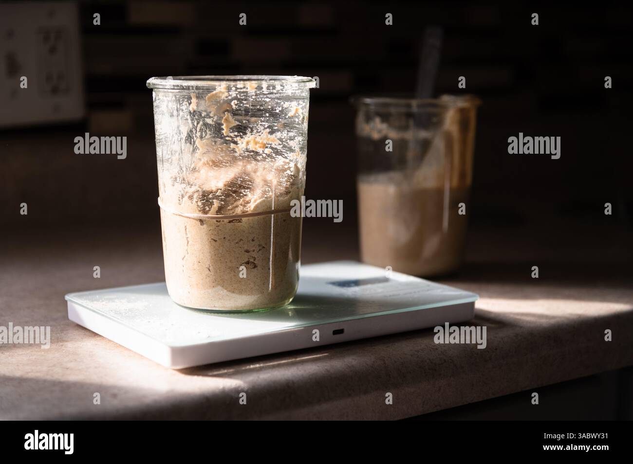 Glass container of sourdough starter on a kitchen scale with discard in ...