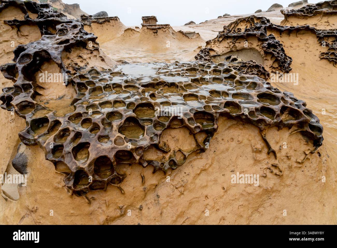 Honeycomb Weathering rock at Yehliu Geopark in Taiwan. Honeycombed ...
