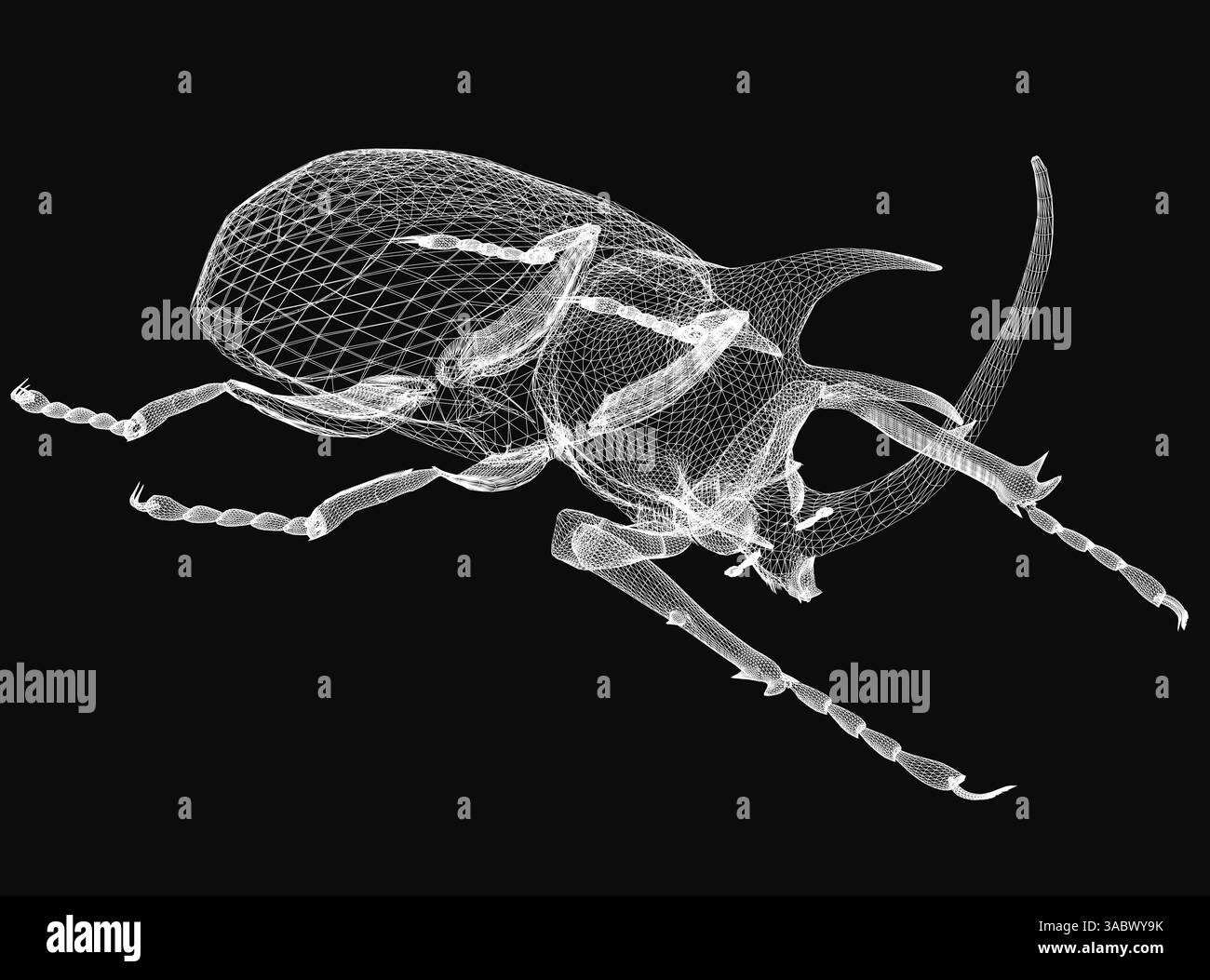 3d insect Black and White Stock Photos & Images - Alamy