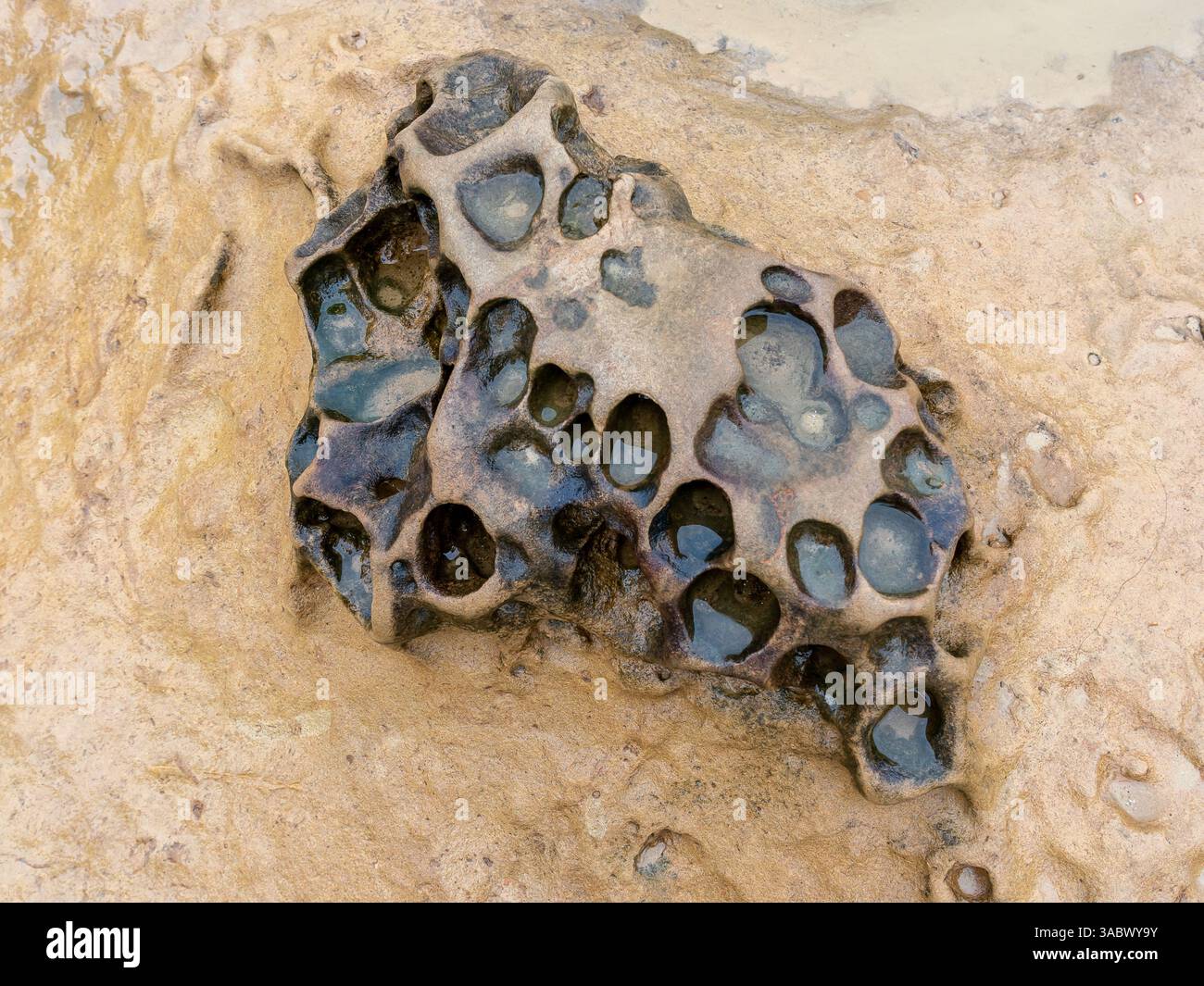 Honeycomb Weathering rock at Yehliu Geopark in Taiwan. Honeycombed ...
