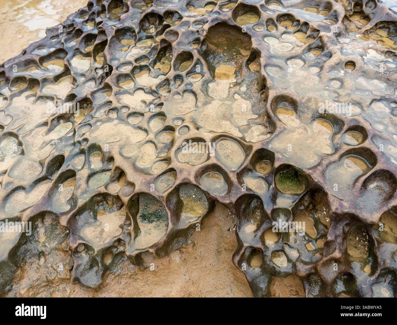Honeycomb Weathering rock at Yehliu Geopark in Taiwan. Honeycombed ...