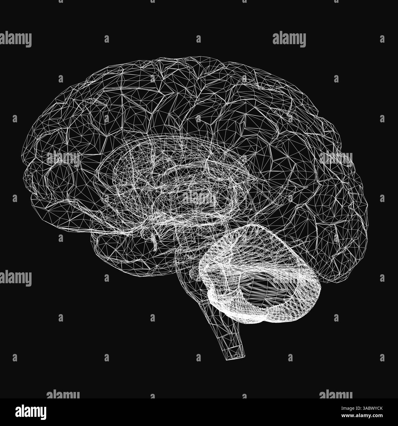 A brain is shown in a black and white. The brain is shown in a very ...