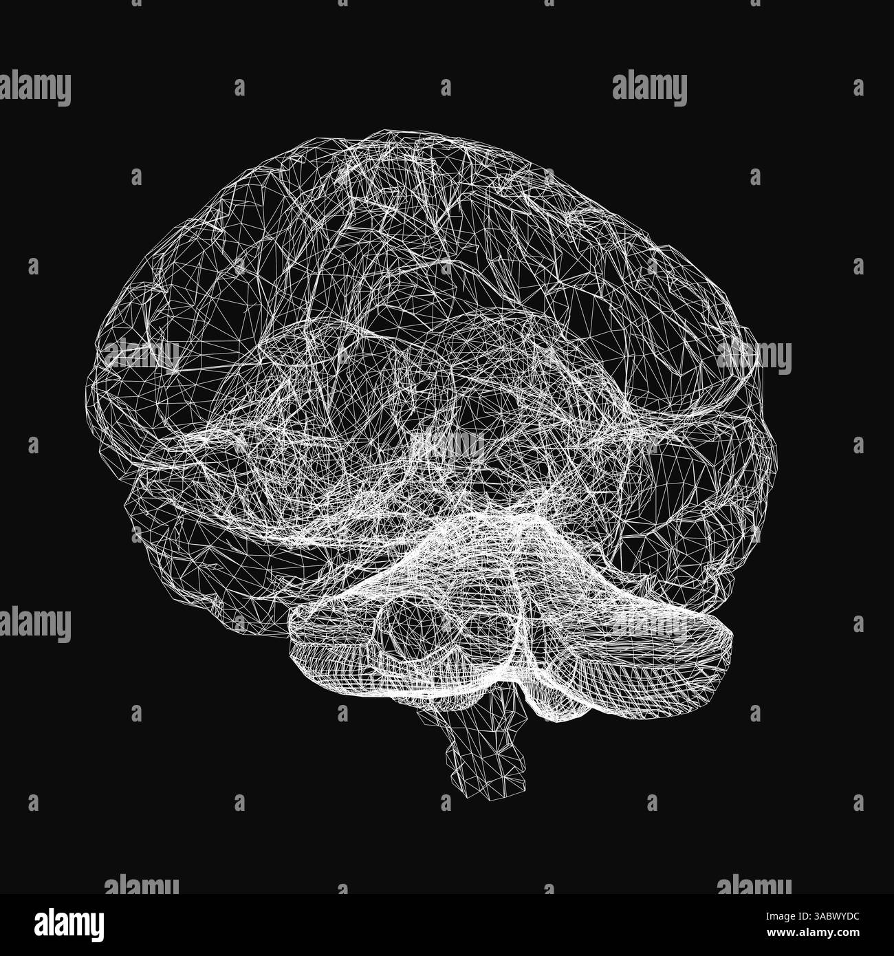 A brain with a lot of lines and dots. The brain is white and the ...