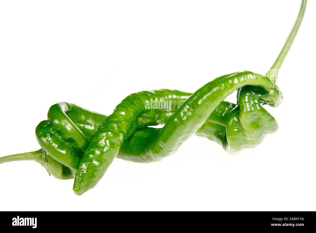 Mature green space Cut Out Stock Images & Pictures - Alamy