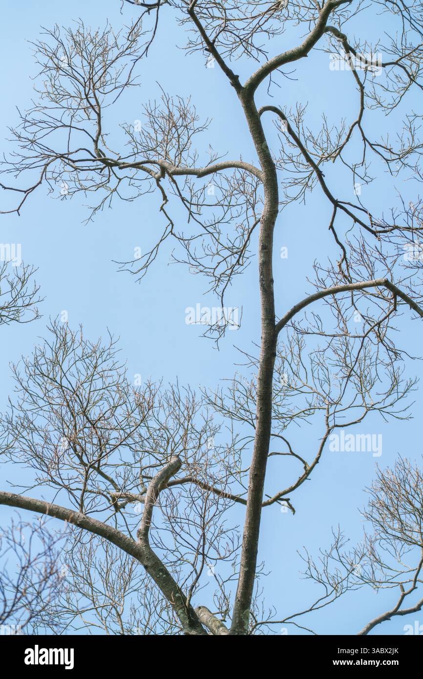 Clean season hi-res stock photography and images - Alamy