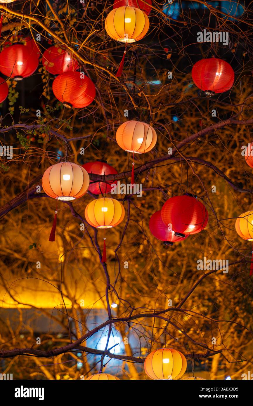 Lanterns hanging from trees at night Stock Photo - Alamy
