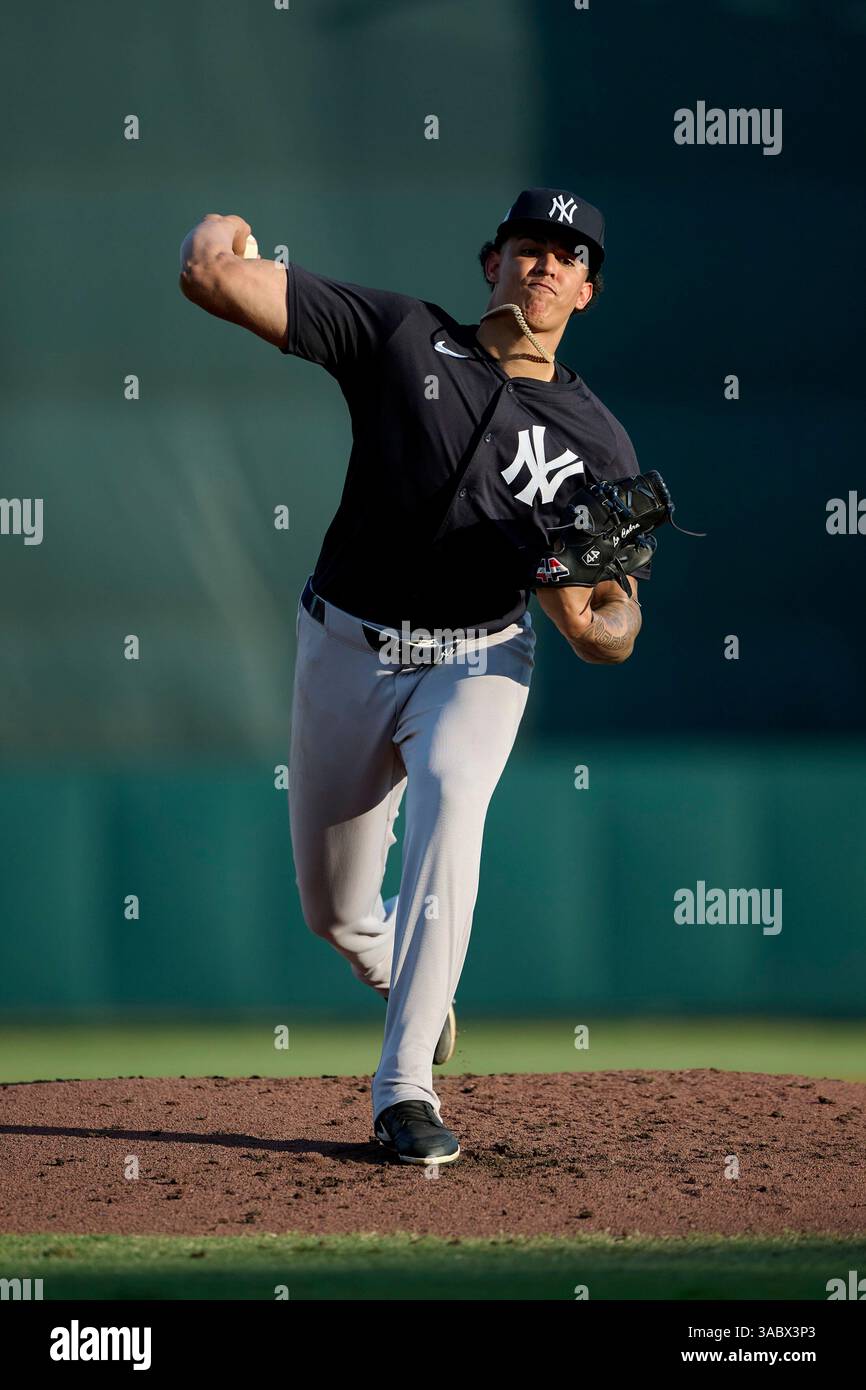 New York Yankees pitcher Carlos Lagrange (30) during an MLB Spring ...