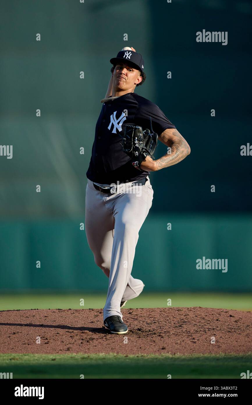 New York Yankees pitcher Carlos Lagrange (30) during an MLB Spring ...