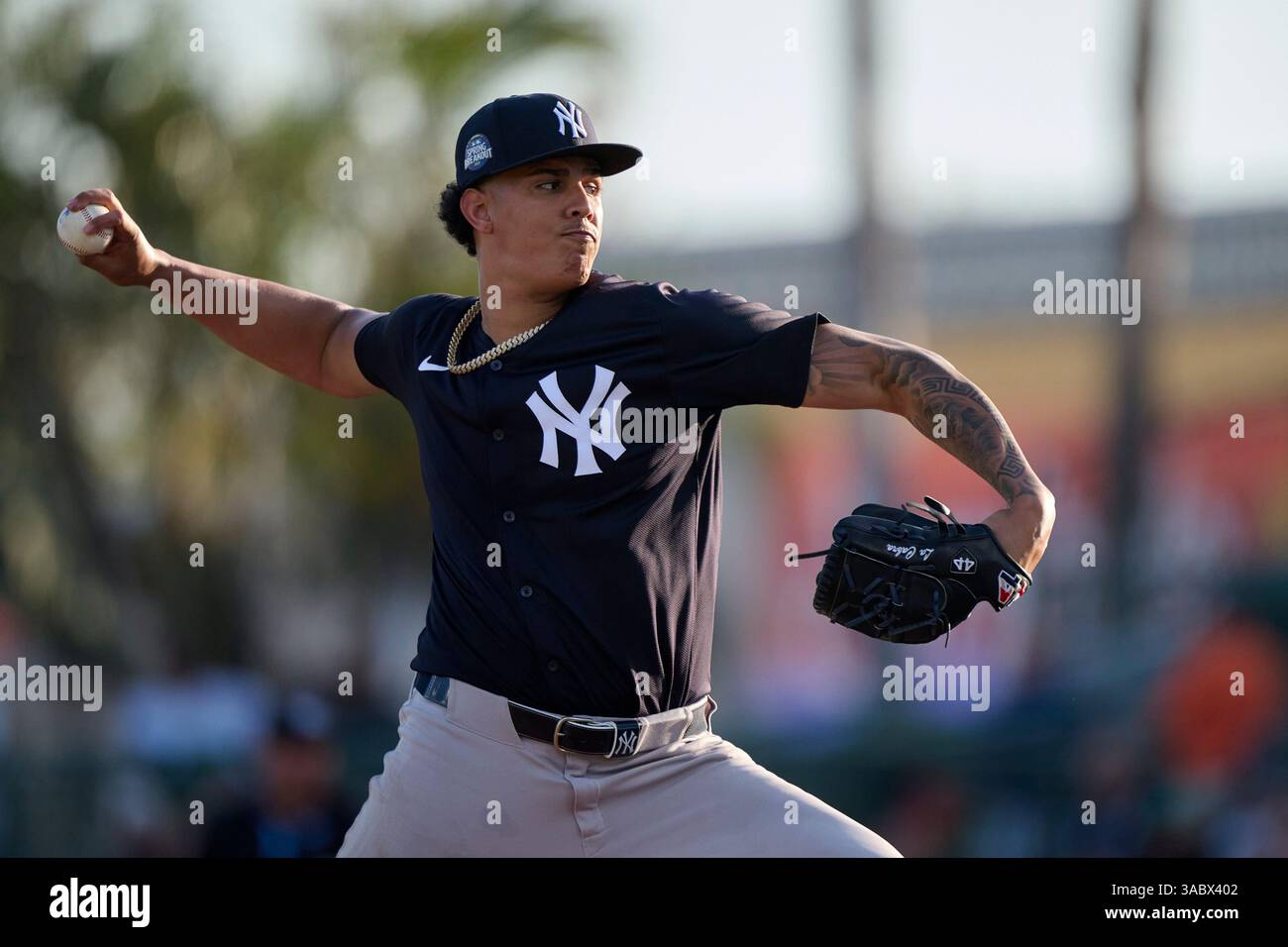 New York Yankees pitcher Carlos Lagrange (30) during an MLB Spring ...
