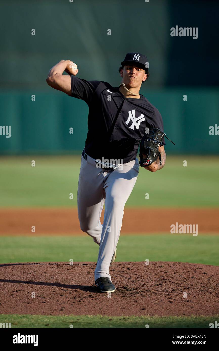 New York Yankees pitcher Carlos Lagrange (30) during an MLB Spring ...