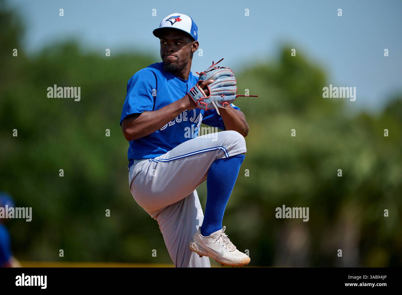 Toronto Blue Jays pitcher Johan Simon during an MiLB Spring Training ...
