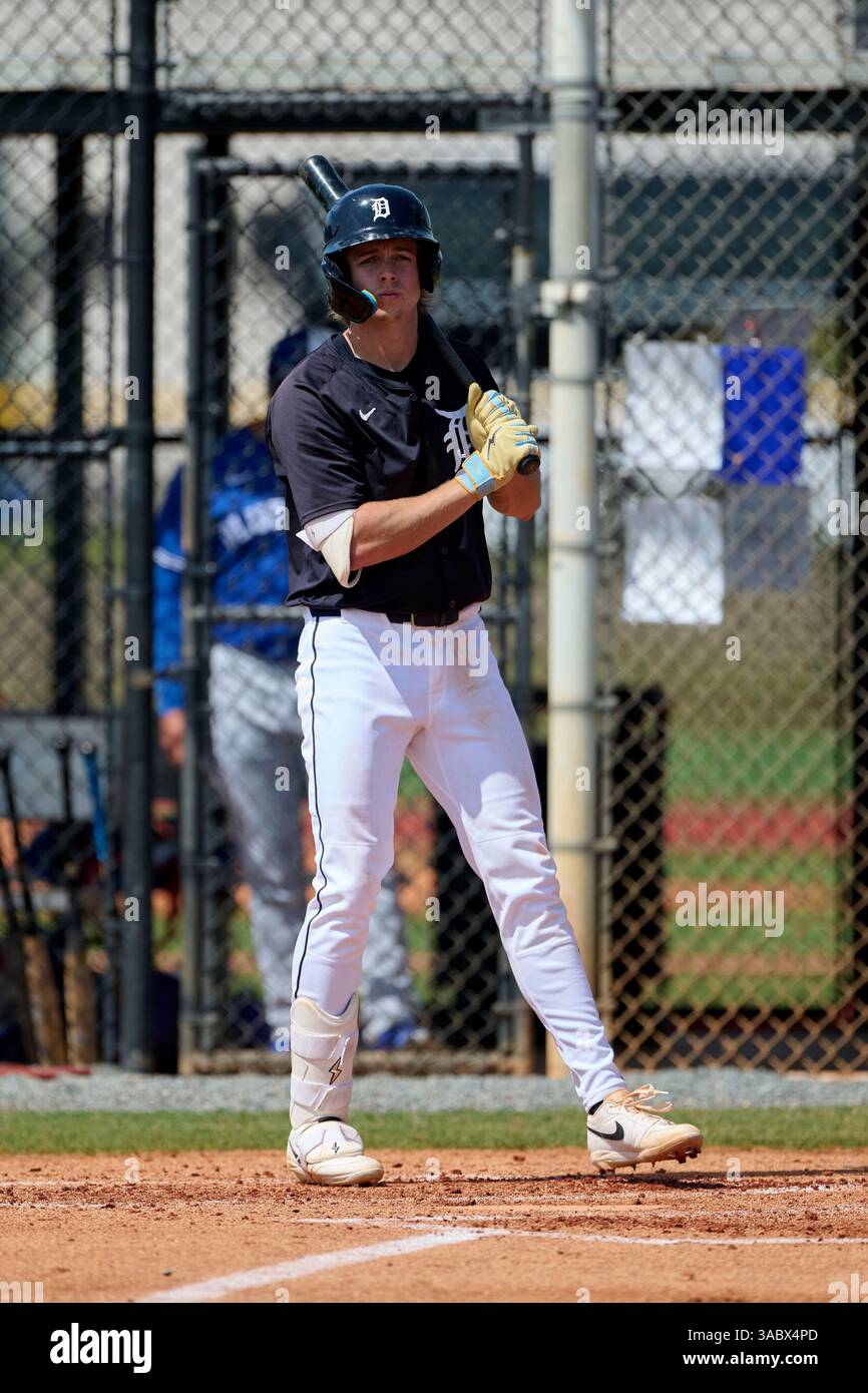 Detroit Tigers Bryce Rainer (28) at bat during an MiLB Spring Training ...