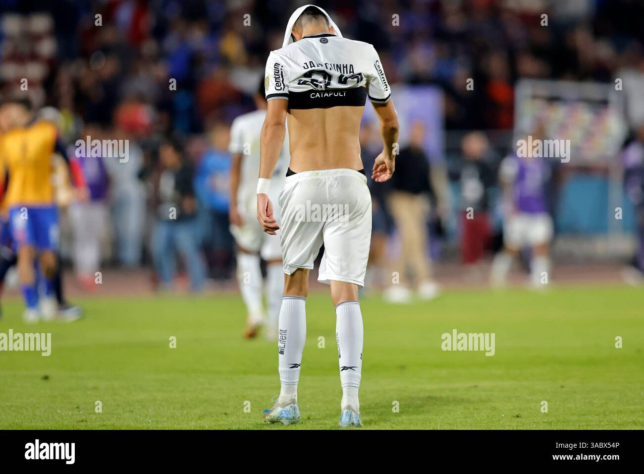 Botafogo team 2025 hi-res stock photography and images - Alamy