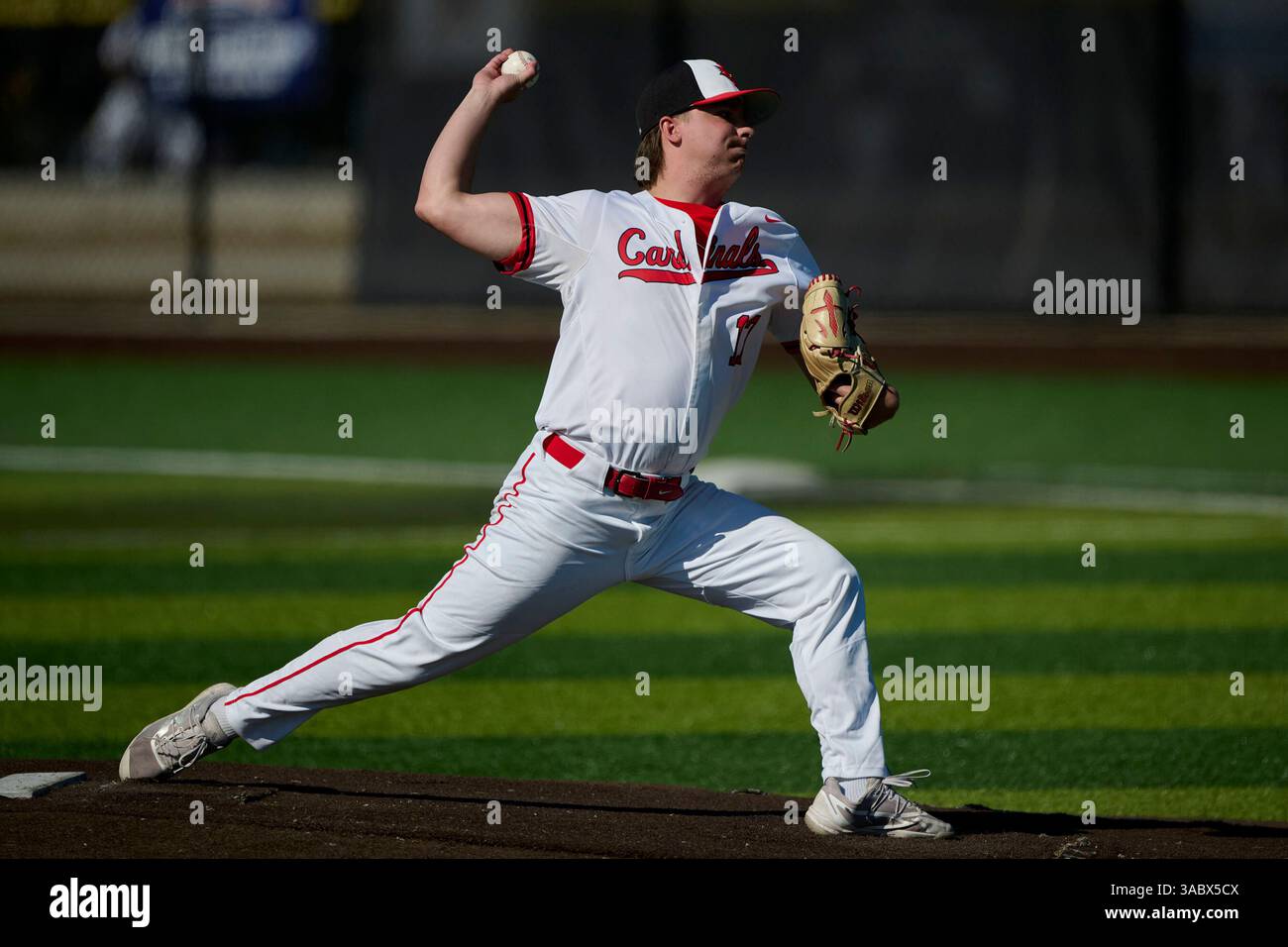 Plattsburgh State Cardinals pitcher Kolby Mordecki (17) during an NCAA ...