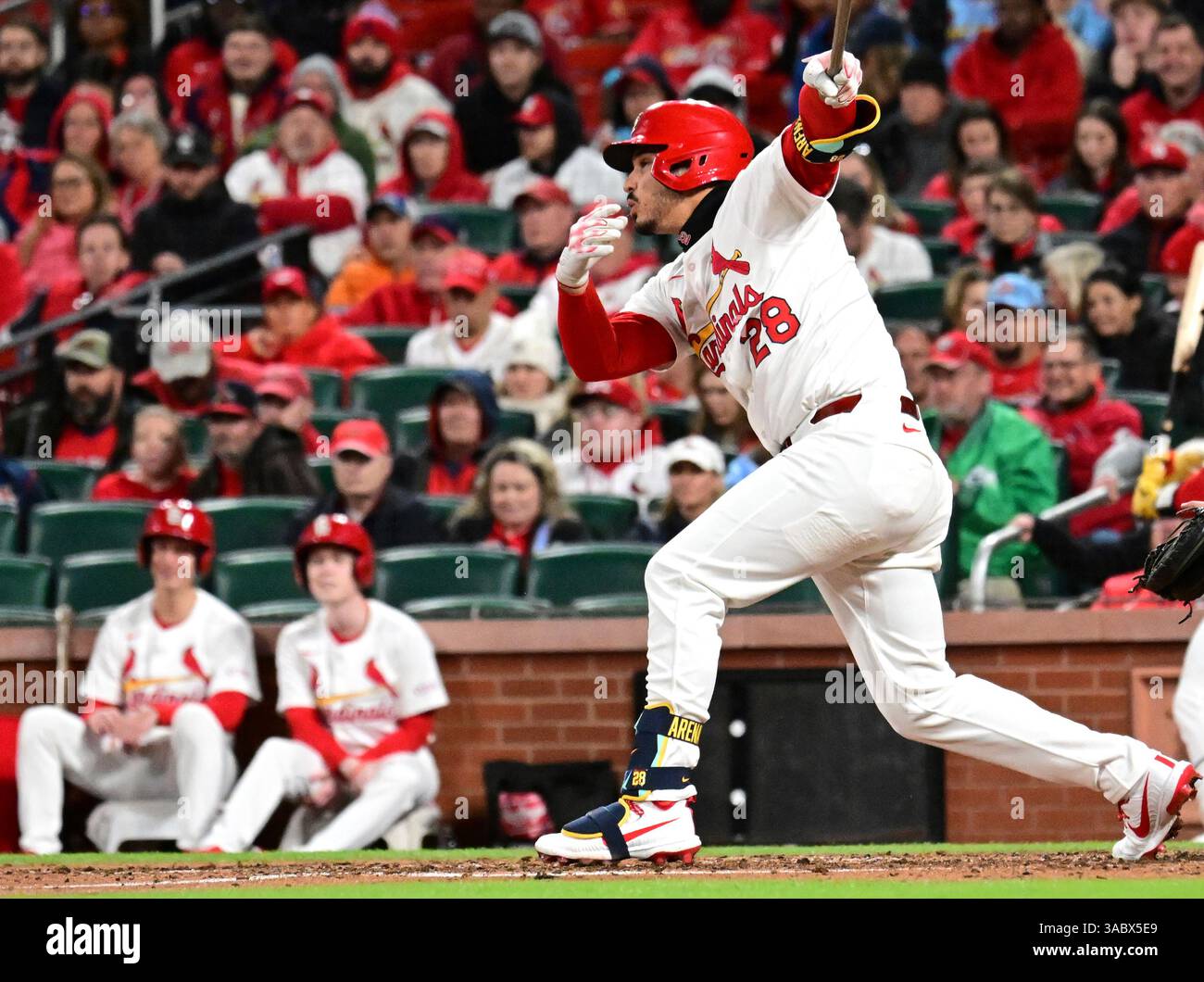 ST. LOUIS, MO - MARCH 31: St. Louis Cardinals third baseman Nolan ...