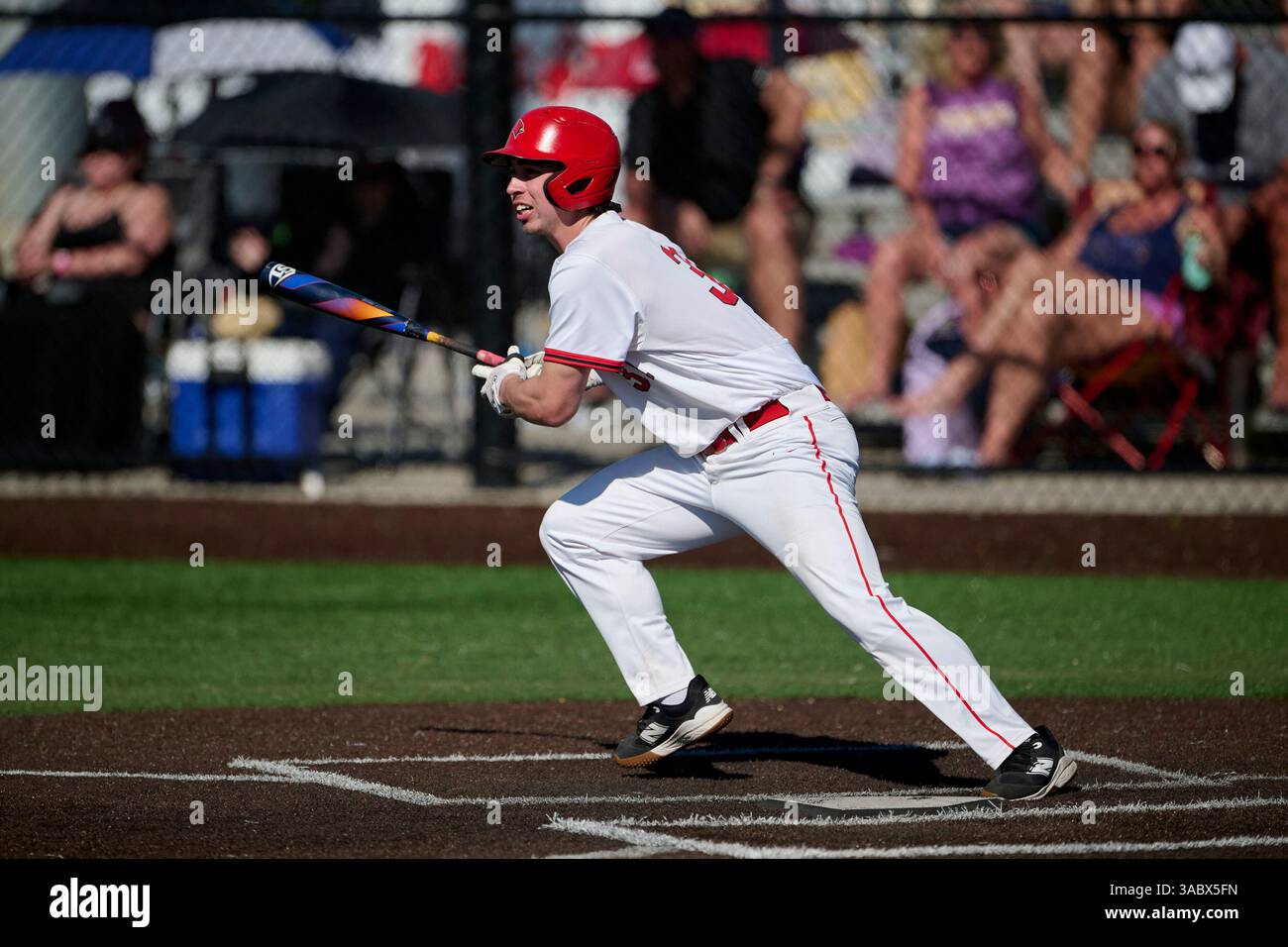Plattsburgh State Cardinals Josh Foglia (31) at bat during an NCAA ...