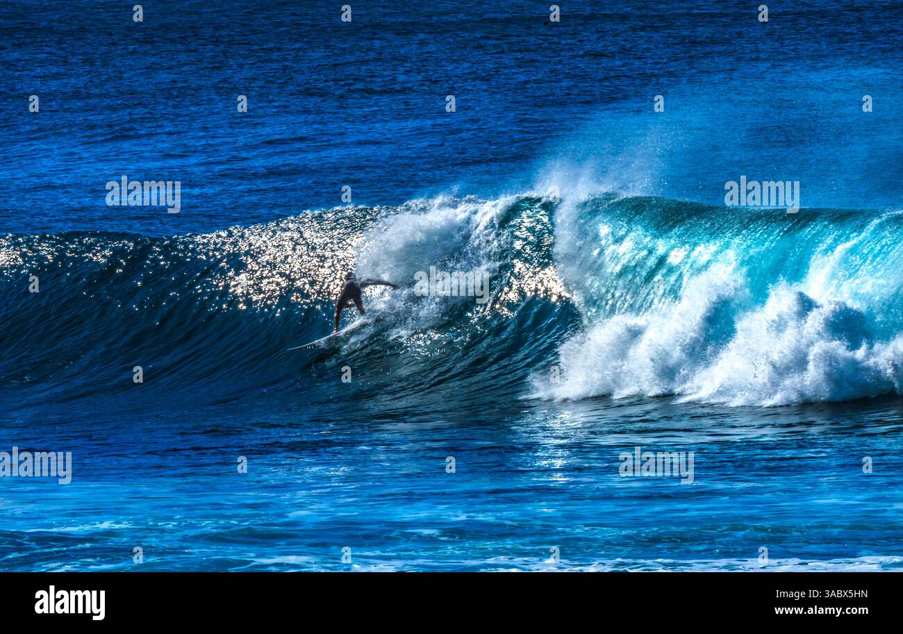 Colorful Surfer Green Room Large Wave Banzai Pipeline Pipeline North ...