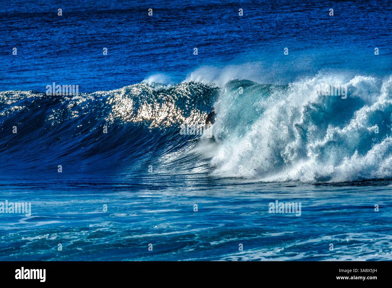 Female surfer banzai hi-res stock photography and images - Alamy