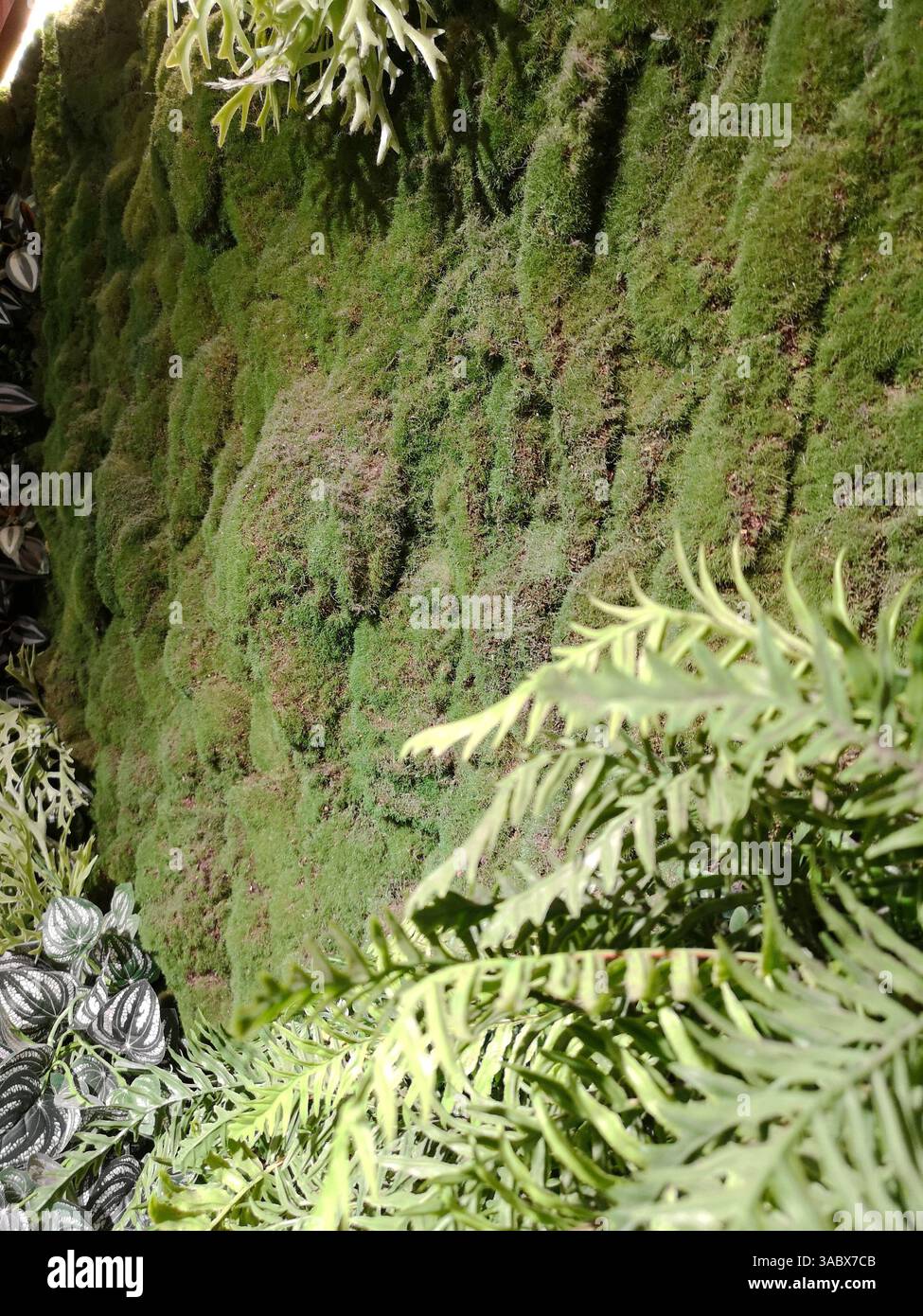 Section of a vertically installed low-maintenance wallscape with ...