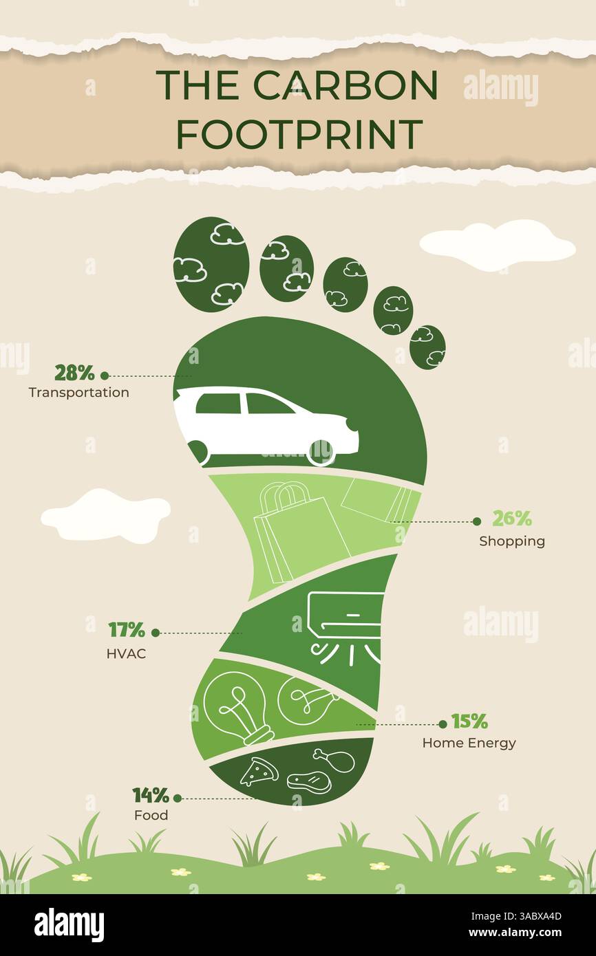 Understanding the Carbon Footprint Through Vector Illustration ...