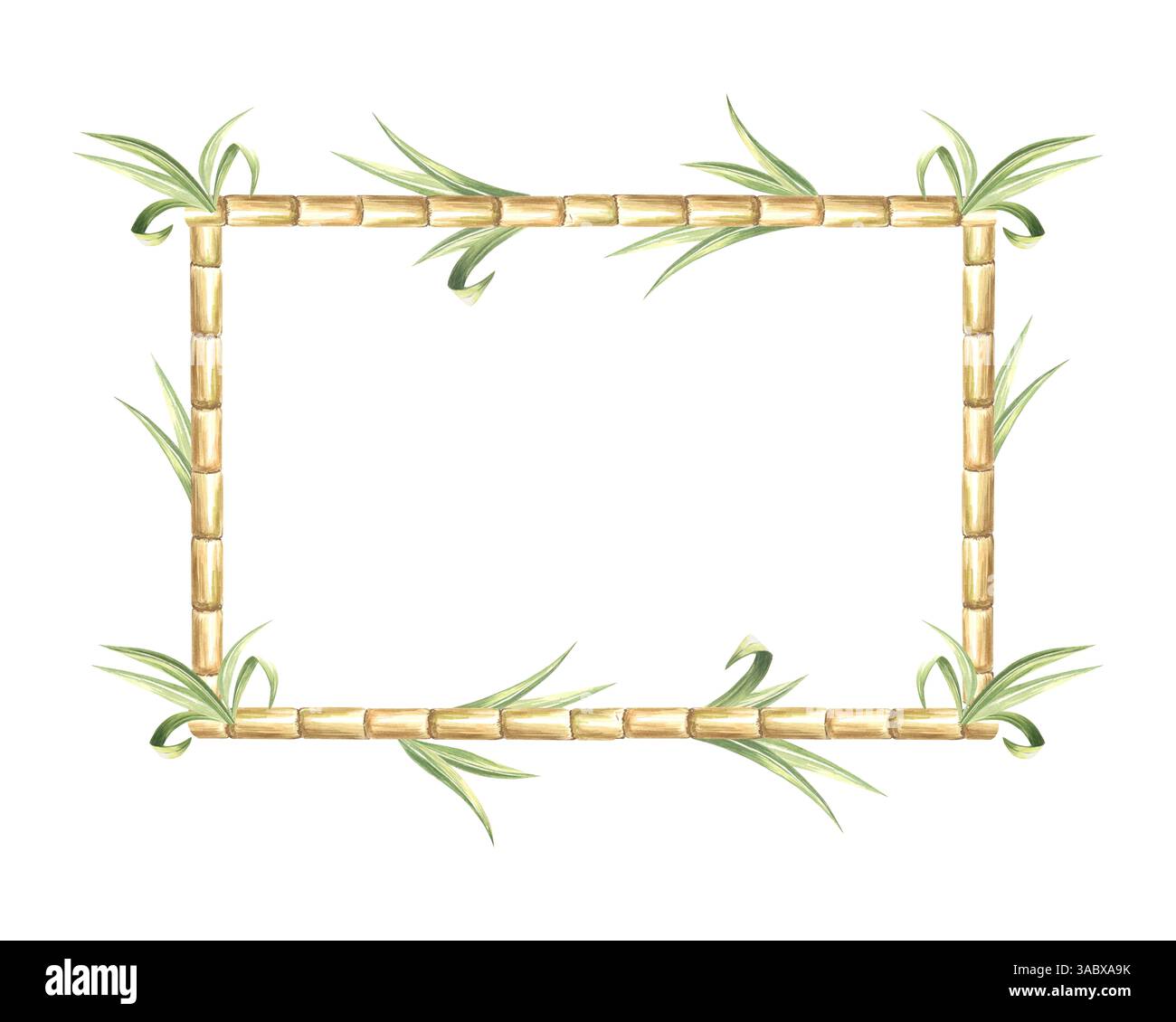 Sugar cane stalks with leaves watercolor horizontal frame isolated ...