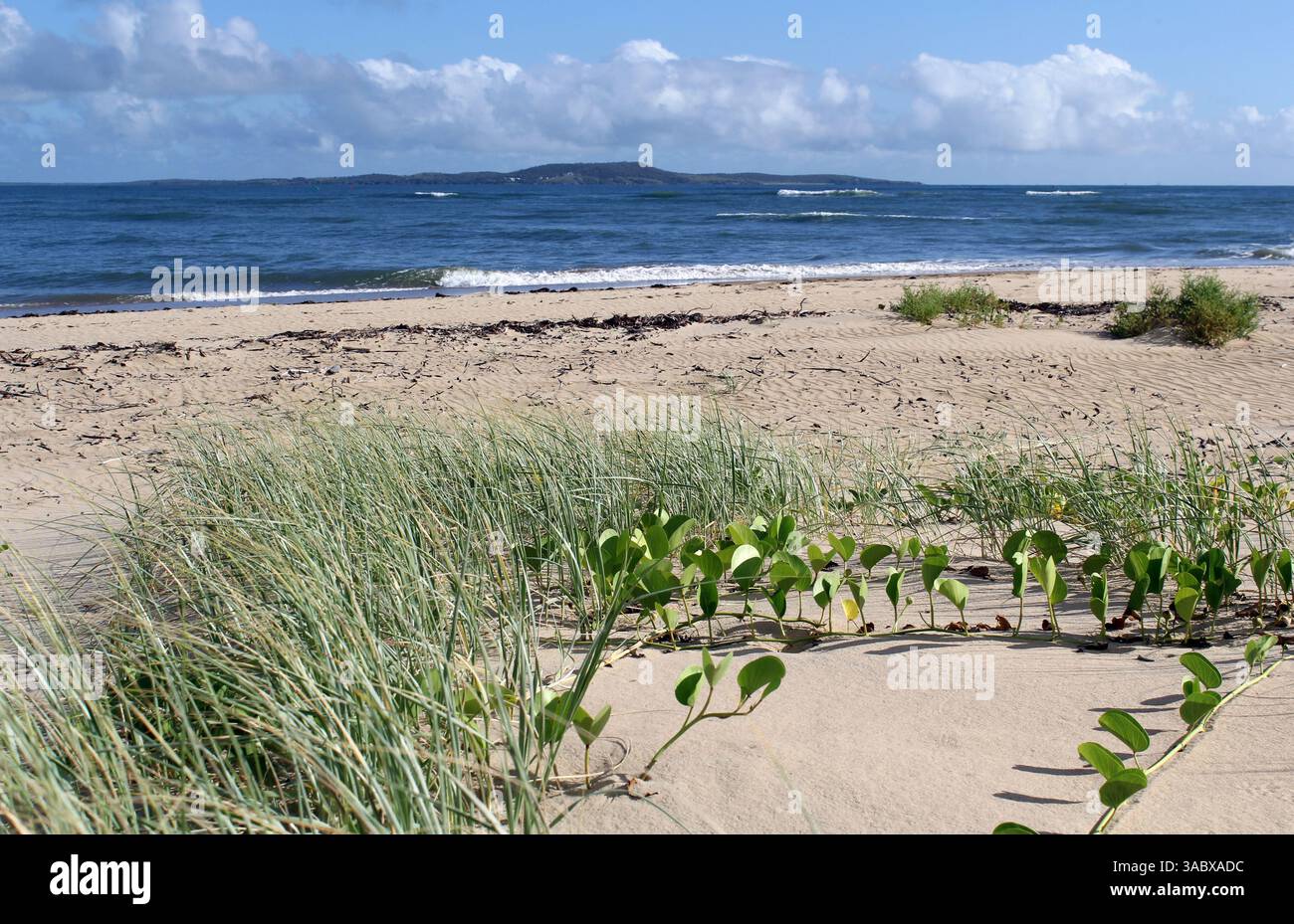 Canoe Point beach with the ocean, sand, grass and vine at Tannum Sands ...