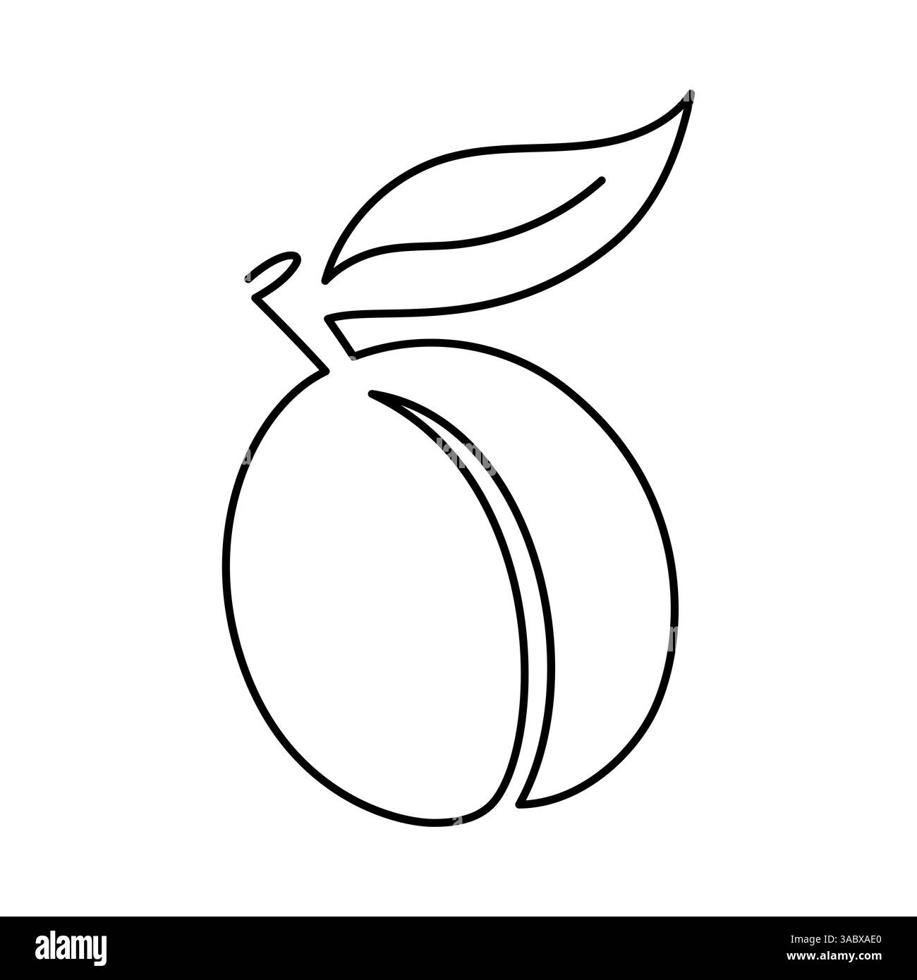 Apricot fruit illustration. Single line icon. Line art plum. continued ...