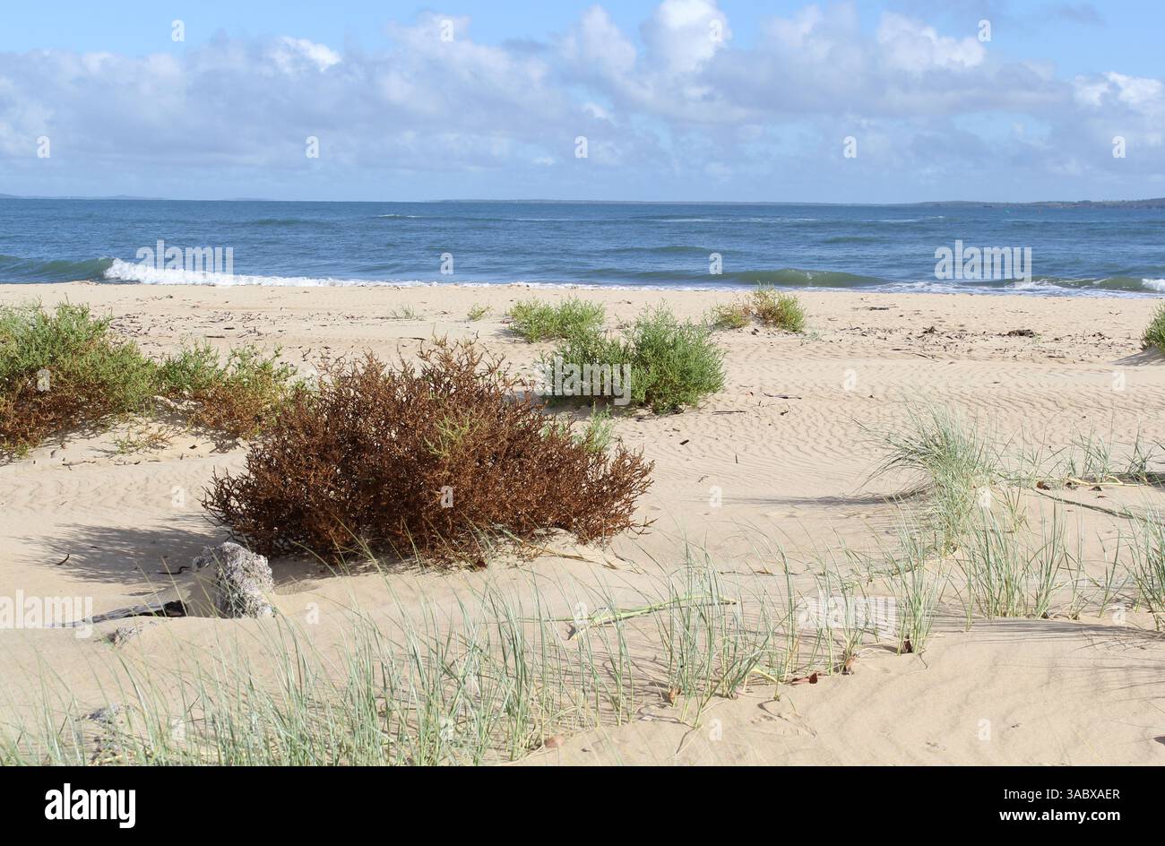 Canoe Point beach with sand, vegetation and the ocean at Tannum Sands ...
