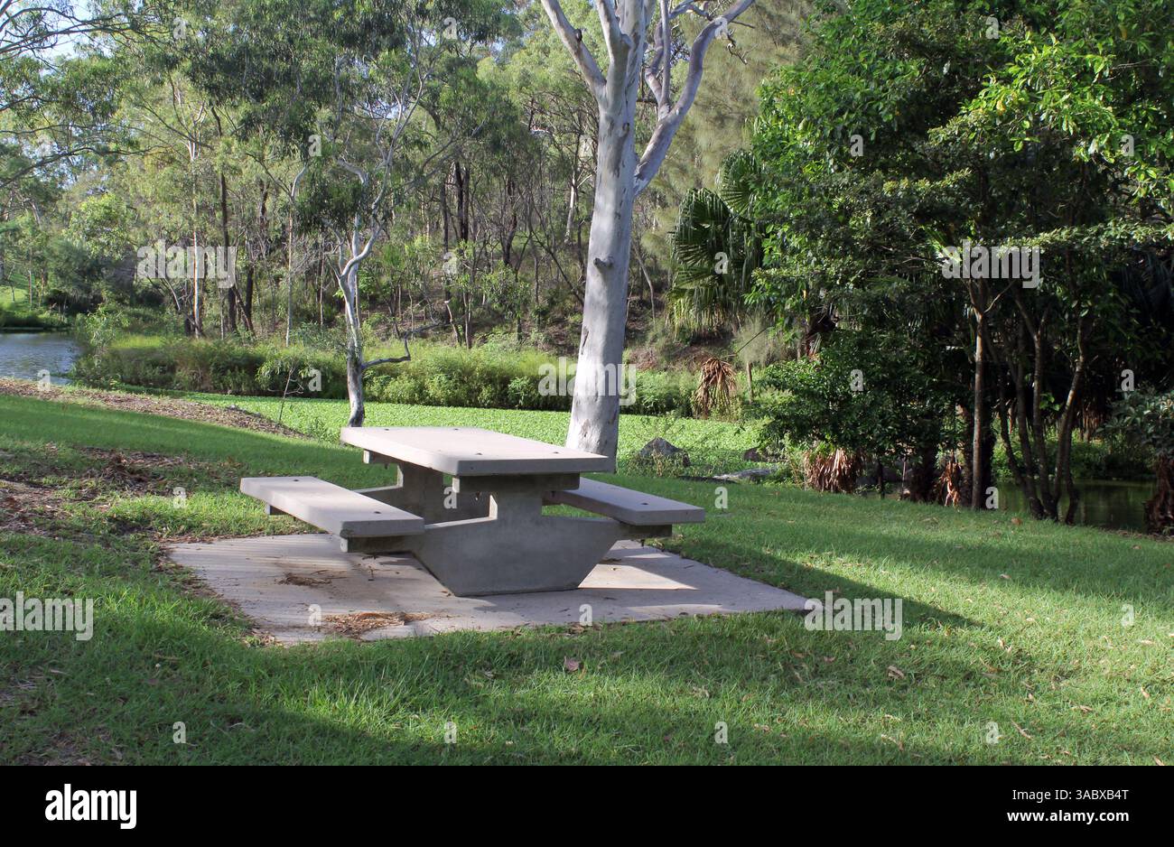 Concrete park bench picnic table and trees at Reg Tanna Park in ...