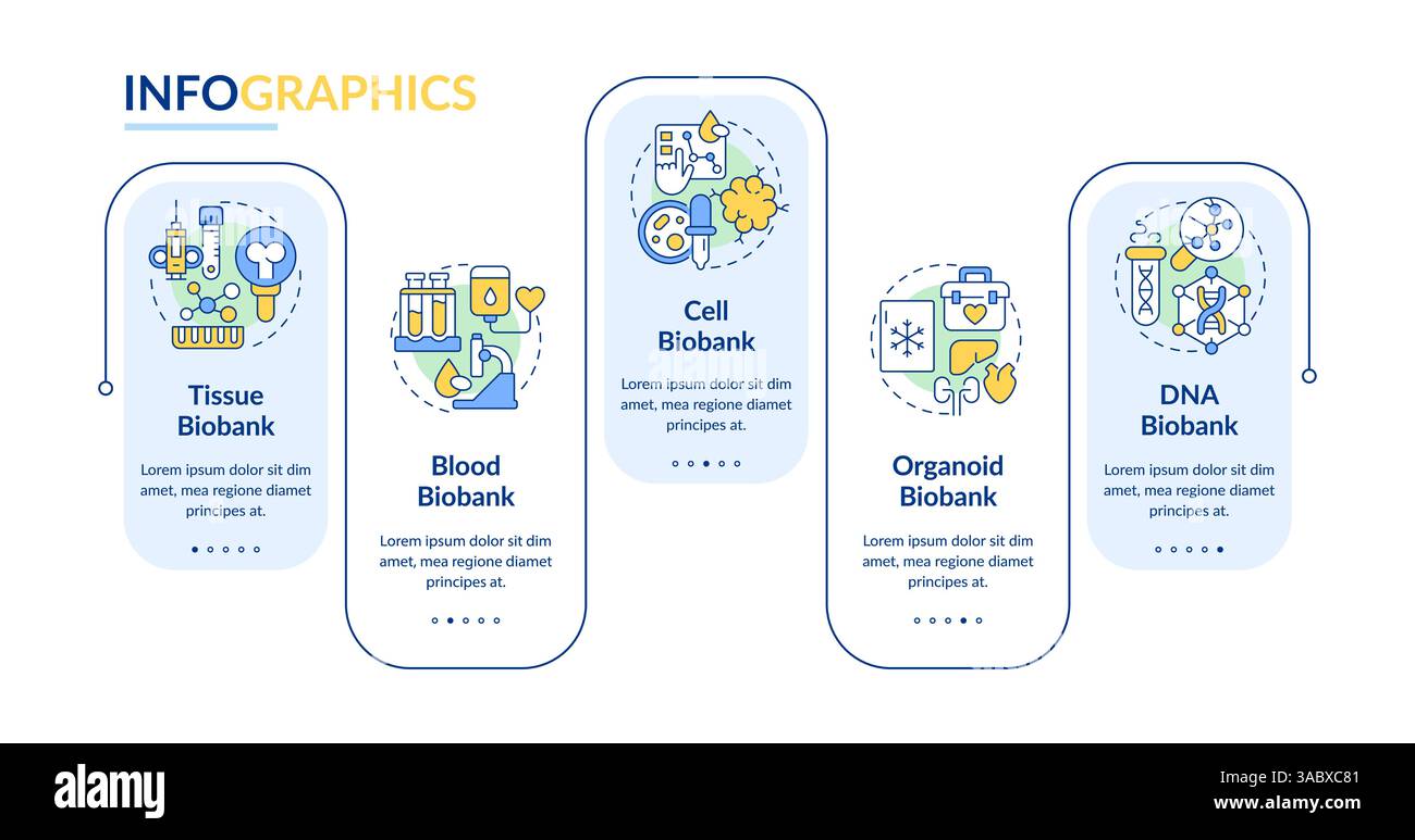 Types of biobanks rectangle infographic vector Stock Vector Image & Art ...