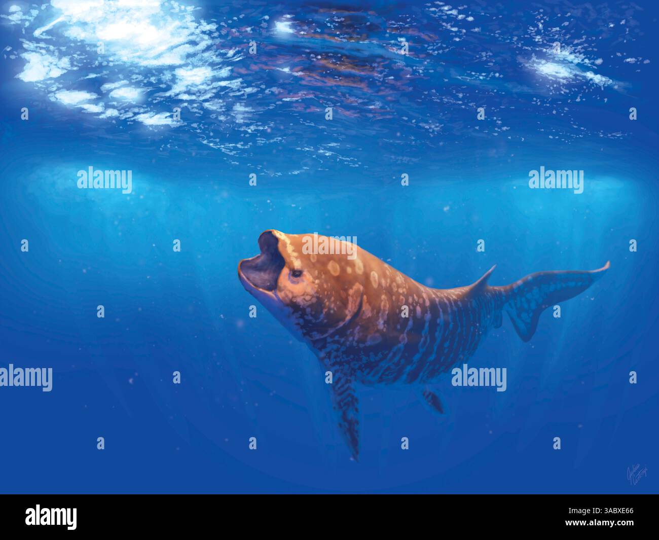 Illustration of the giant arthrodire Titanichthys agassizi in a Late ...